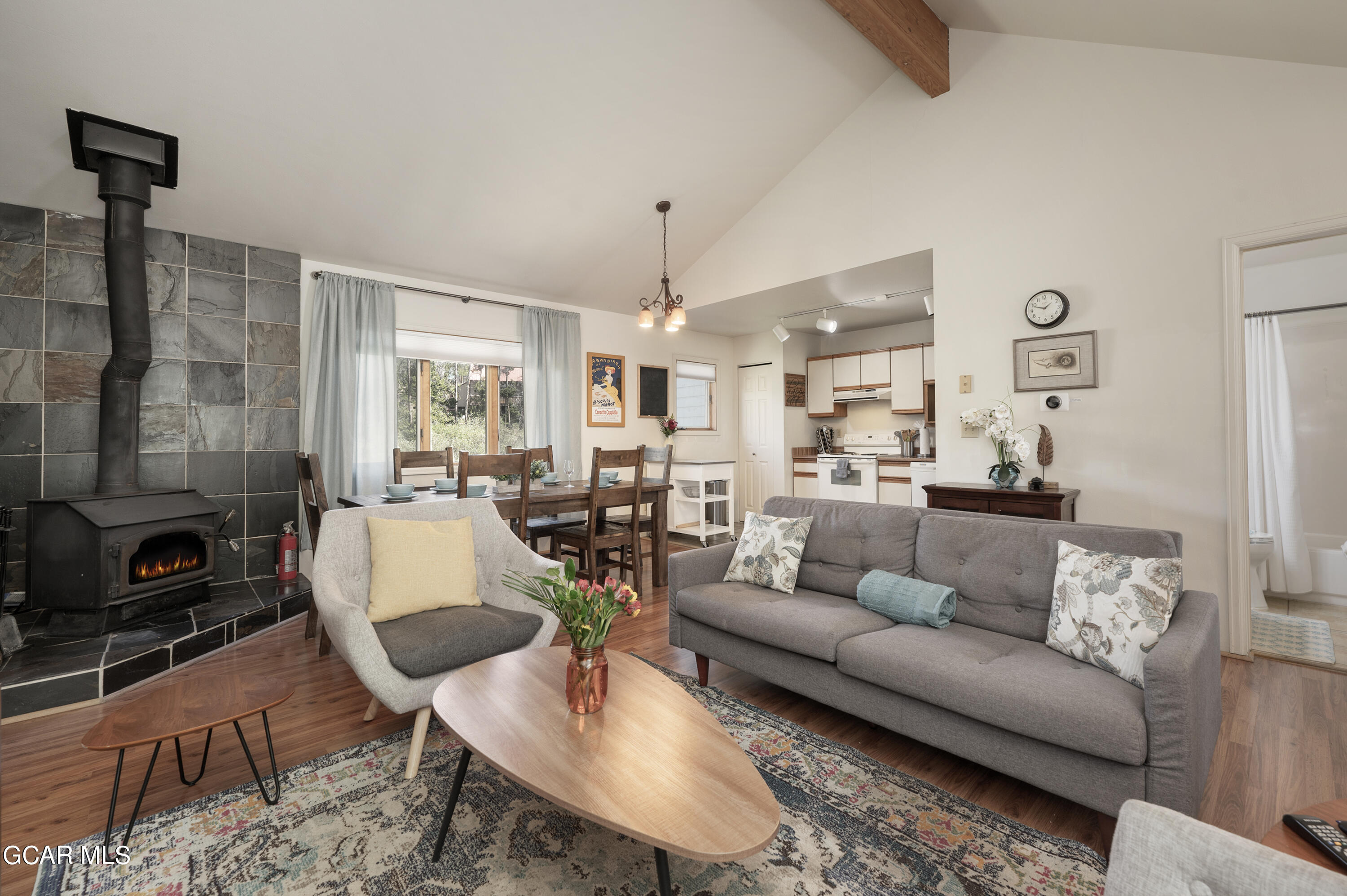 850 Badger Lane, Fraser, CO 80442 | 23-1315 | Real Estate of Winter Park