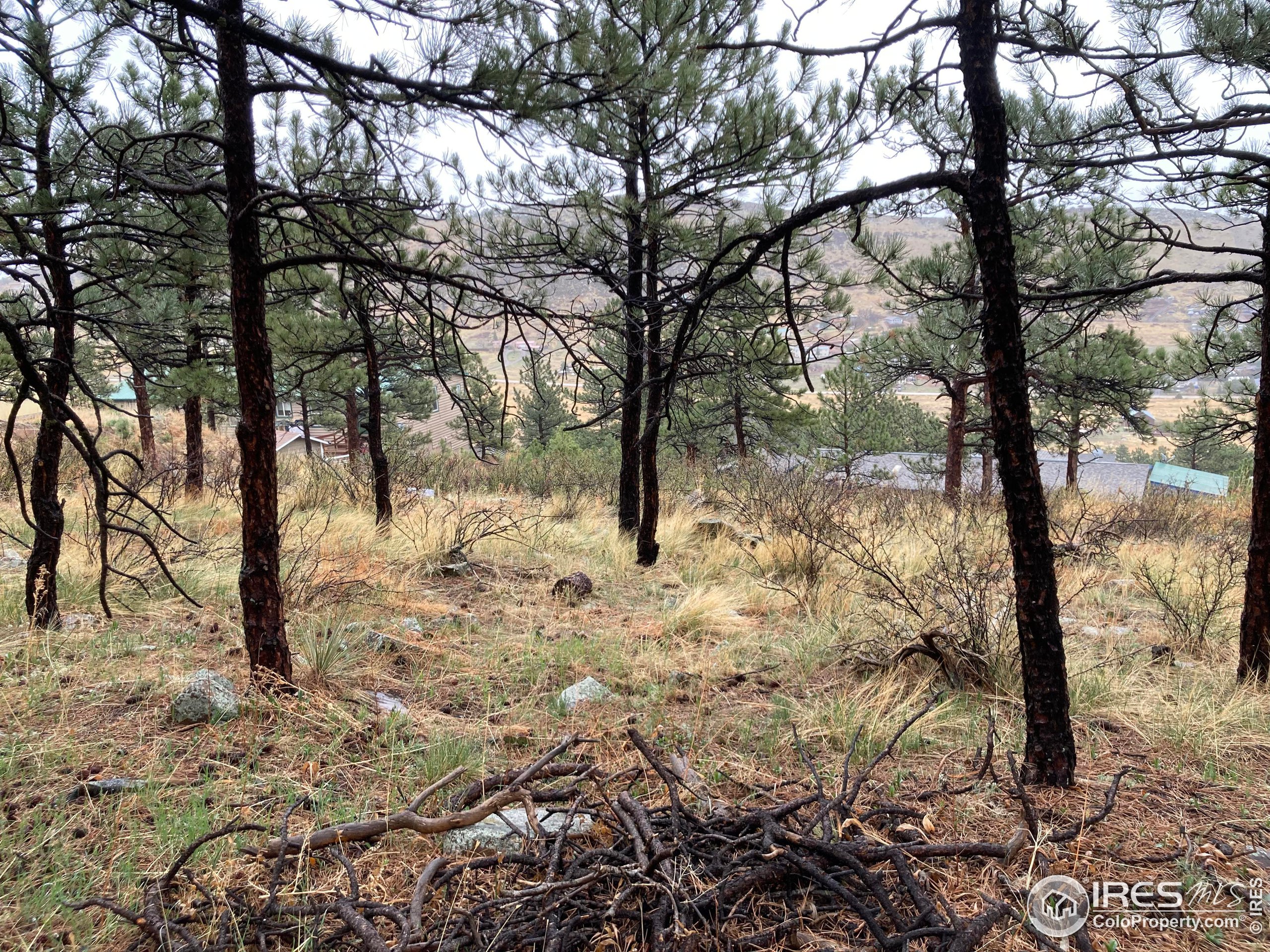 Madison & Company Properties, LLC