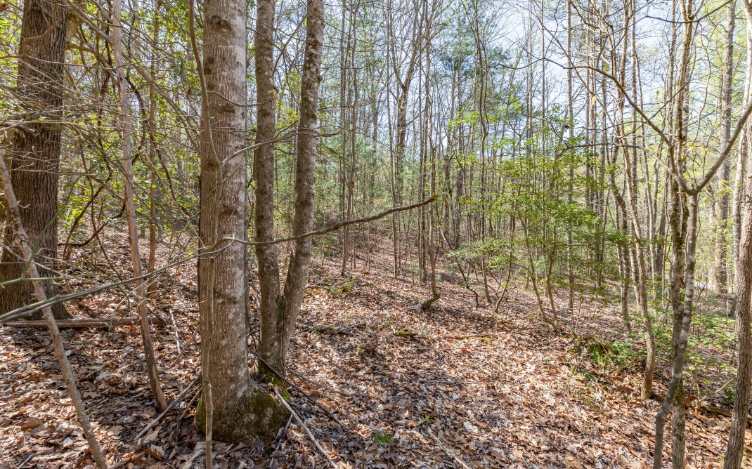 20+Ac Cynth Creek Road