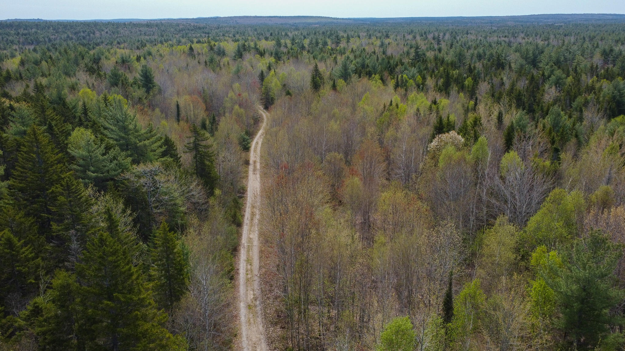 Lot 5 Trickle Brook Road, T24 Md Bpp, ME 04622 | 1560225 | Realty of Maine