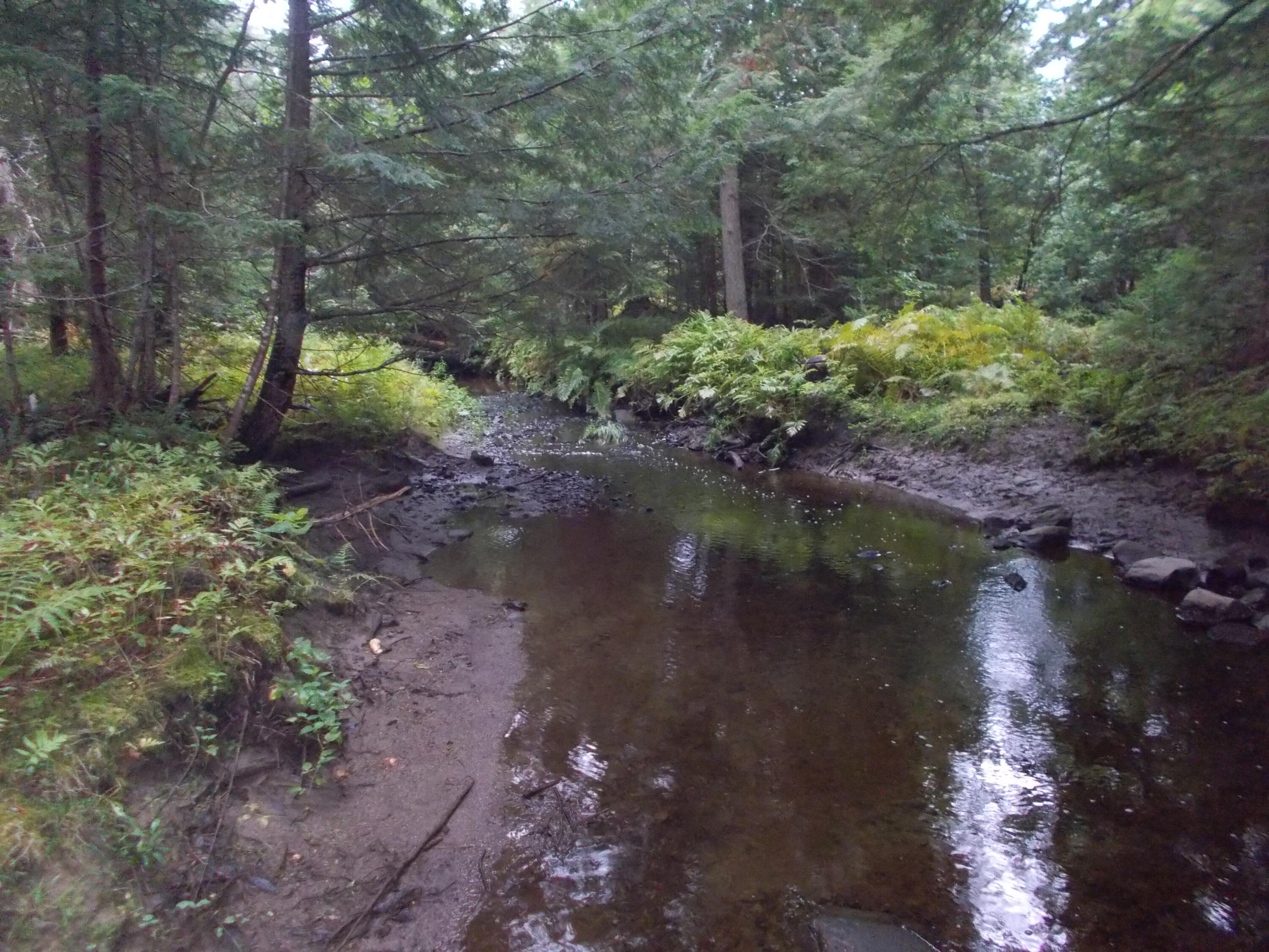 Map10/lot9 Belfast Road Knox, ME
