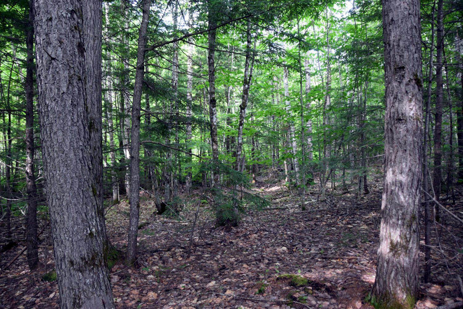 M7 L1-15 Pine Bluff Road, Embden, ME 04958 | 1425897 | Realty of Maine