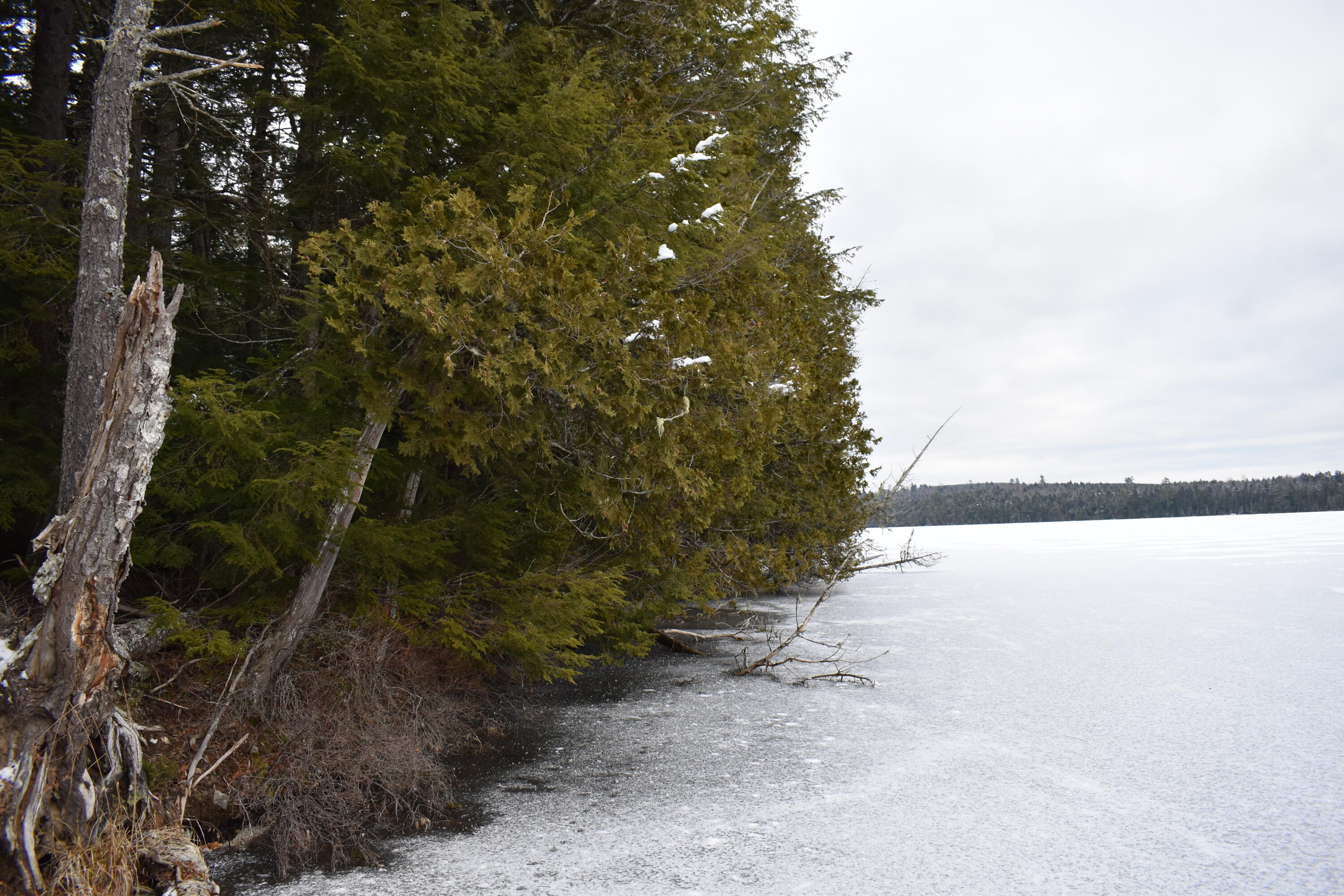 5 Bill Green Pond Road, Lee, ME 04455 | 1580097 | Realty of Maine