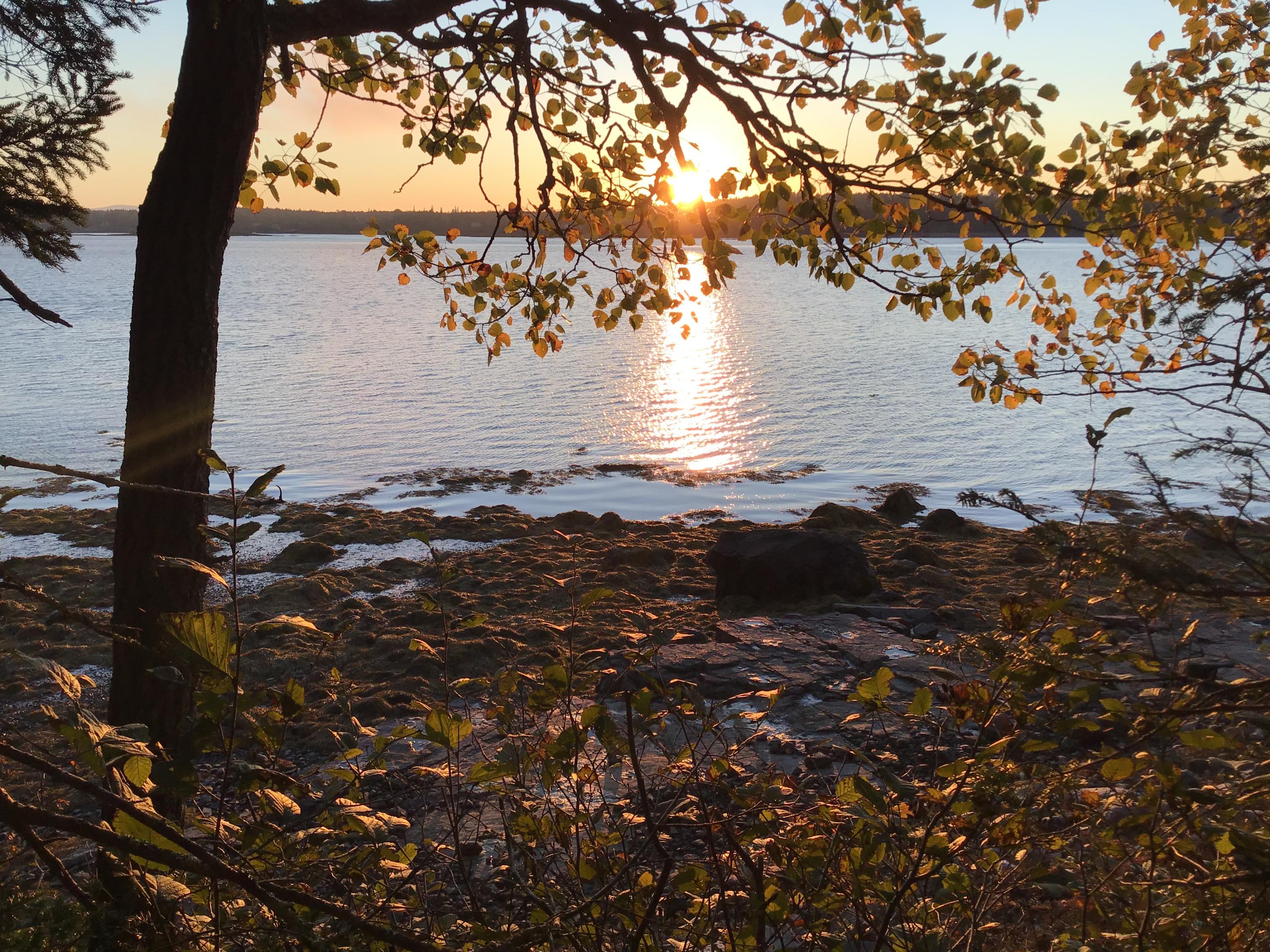 0 Rogers Point Road Steuben, ME