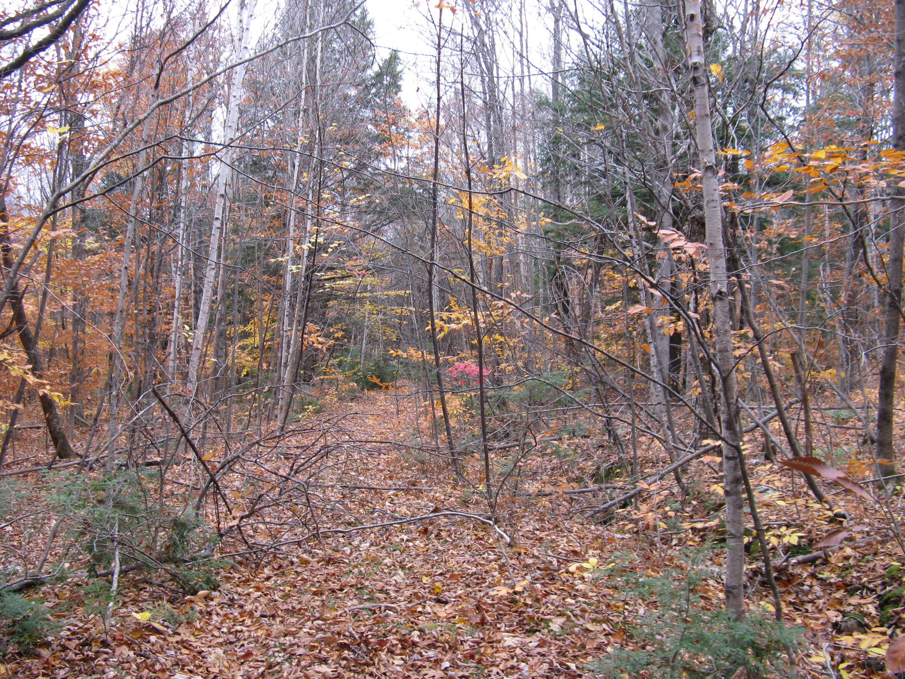 Map 04 Lot 05 Greenwood Road, Peru, ME 04290 | 1585046 | Meservier ...