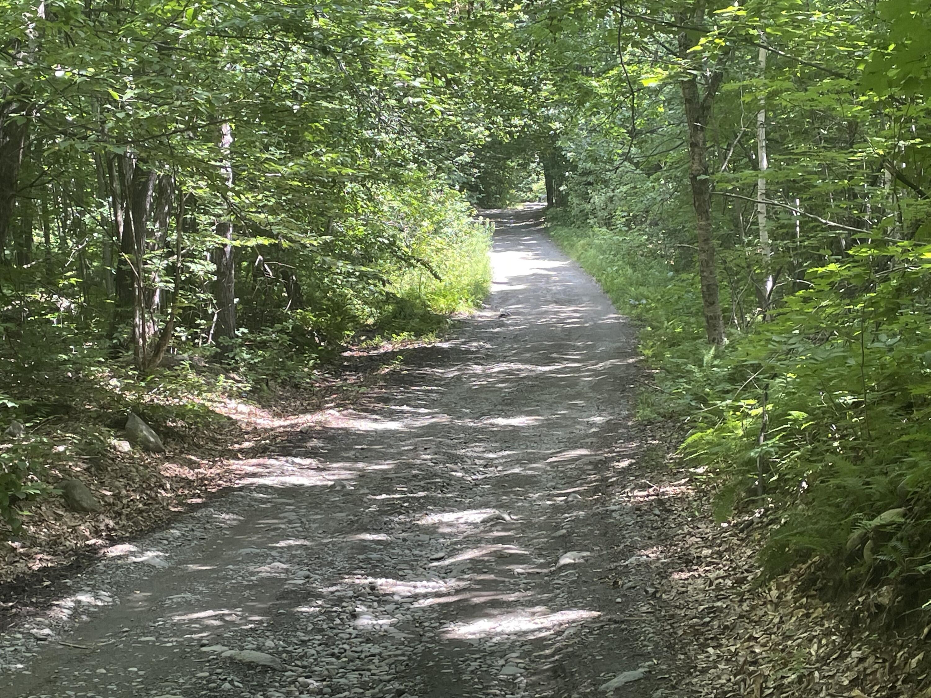 19-1 Coffin Road, Industry, ME 04938 | 1567524 | Realty of Maine