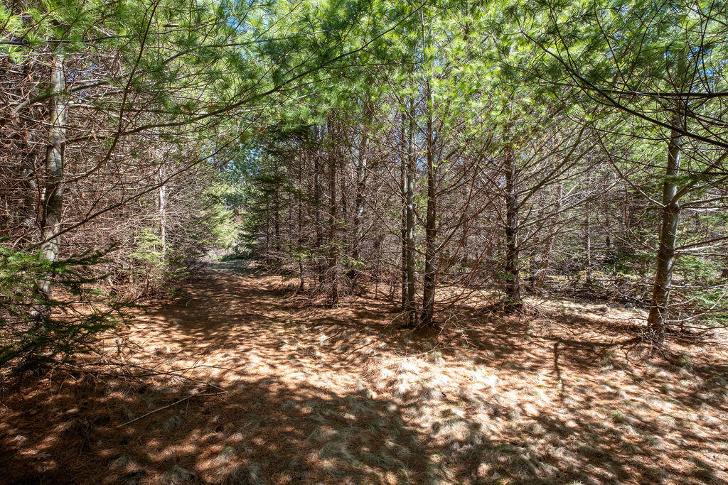 M12-l26-3 Reach Road, Deer Isle, ME 04627 | 1586758 | Realty of Maine