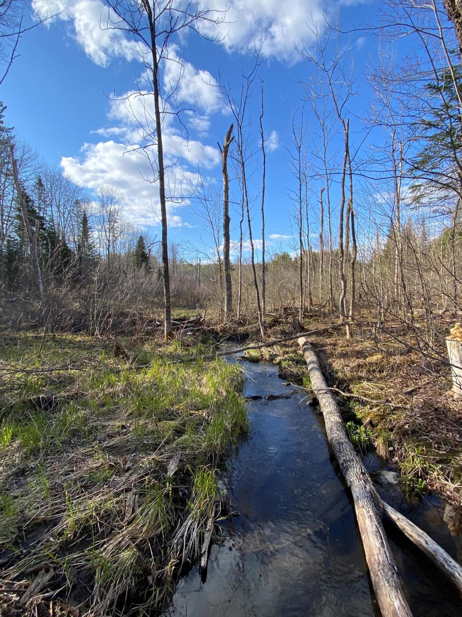 Tbd N Dexter Road Sangerville, ME