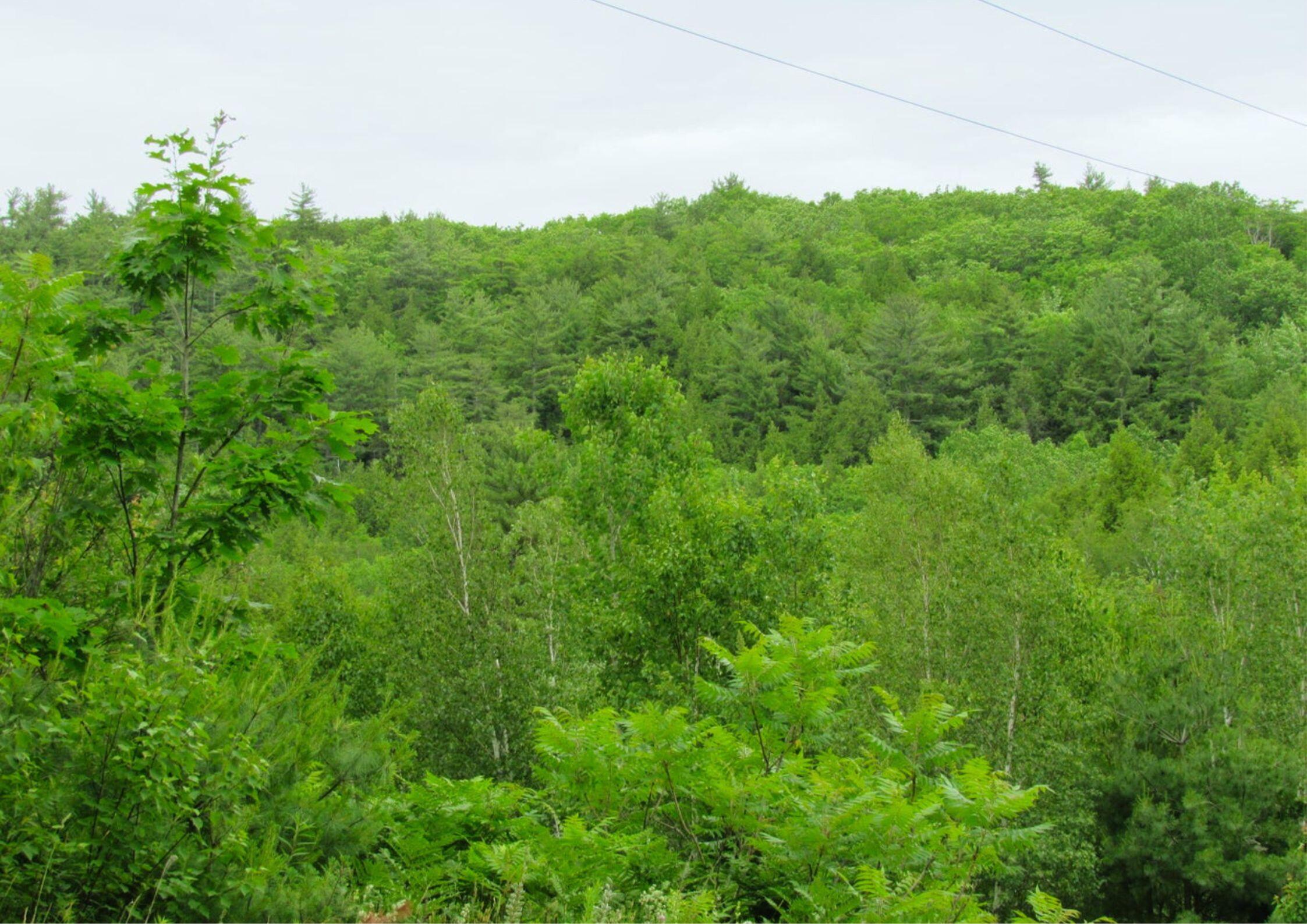 03-001 Route 27 Rome, ME