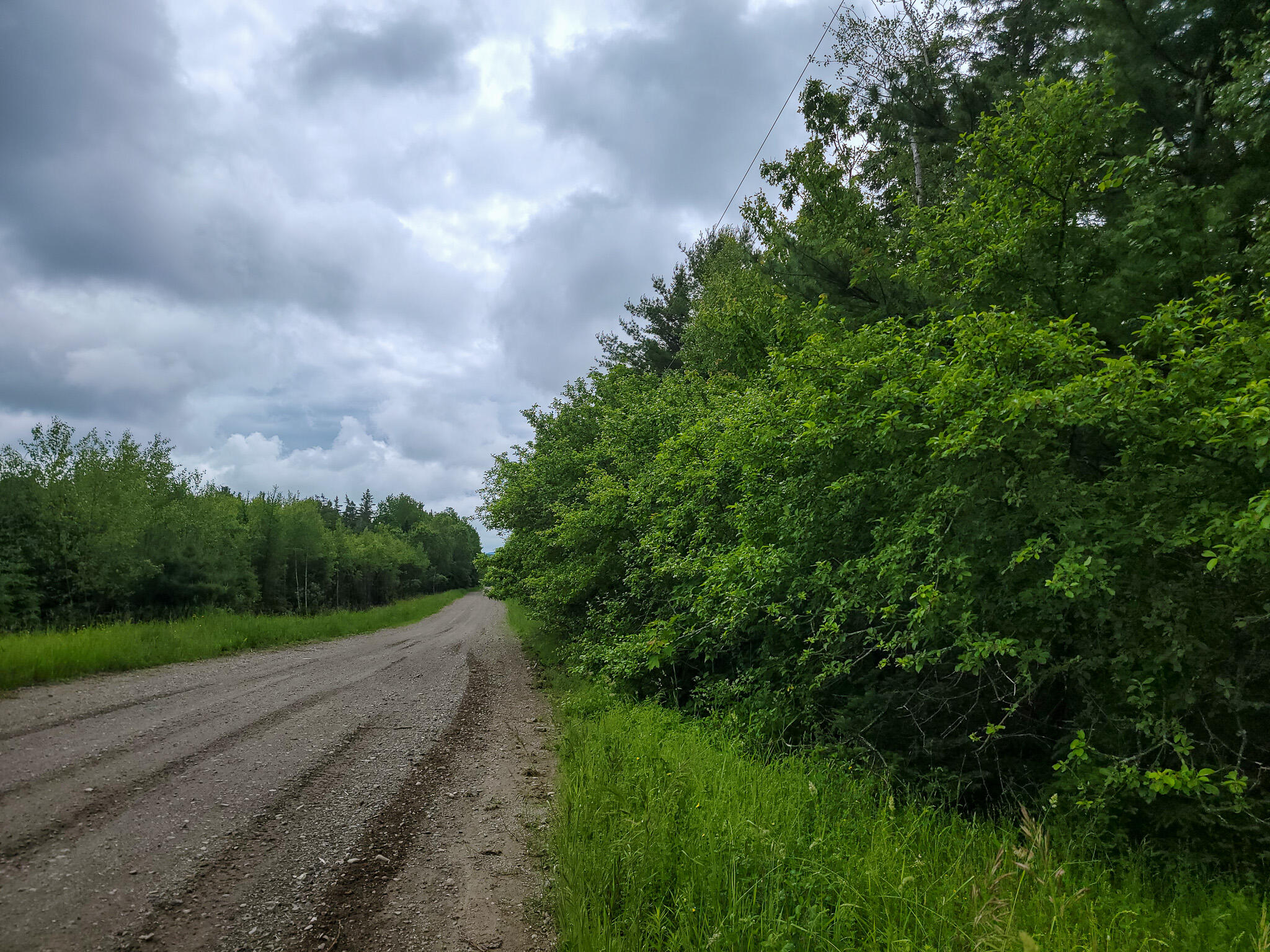 7.3 Acres of Land in Carroll Plantation, Maine