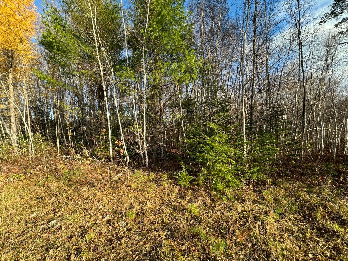 8 Caron Drive, Howland, ME 04448 | 1641267 | CENTURY 21 Atlantic Realty