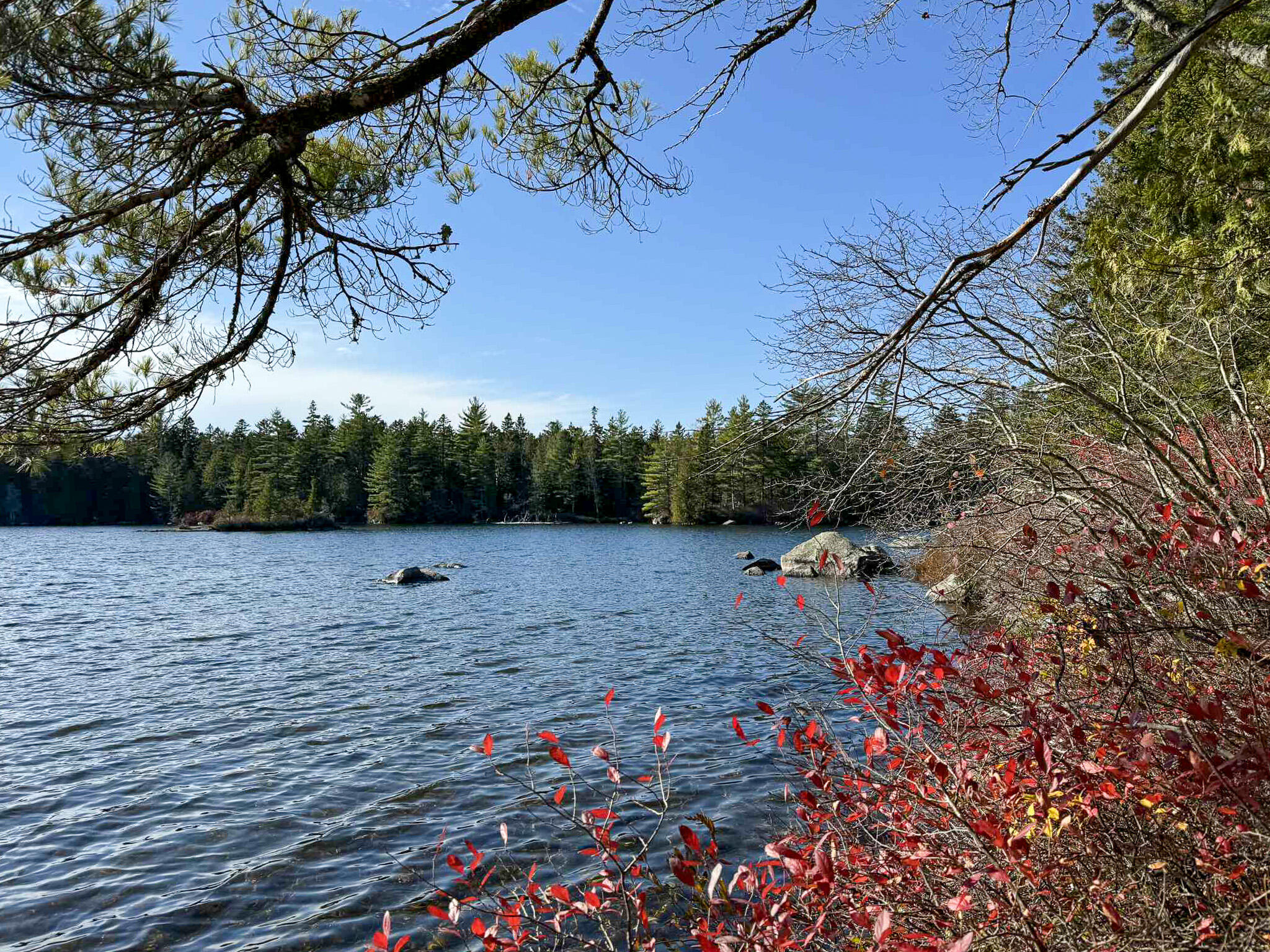 41 Acres with 1330 Ft on Long Lake - Northfield, ME