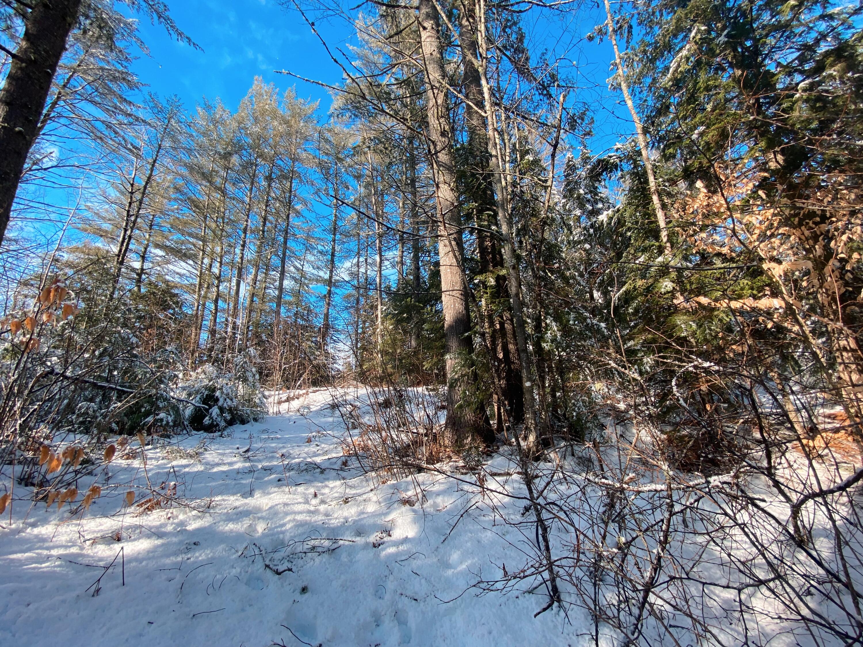 Lot 2a Grubb Smith Knoll Milton Twp, ME