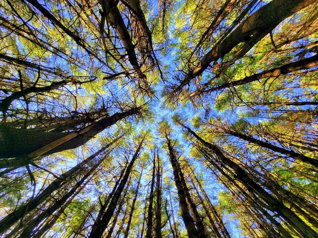 Lot 14 Stream Road Vienna, ME