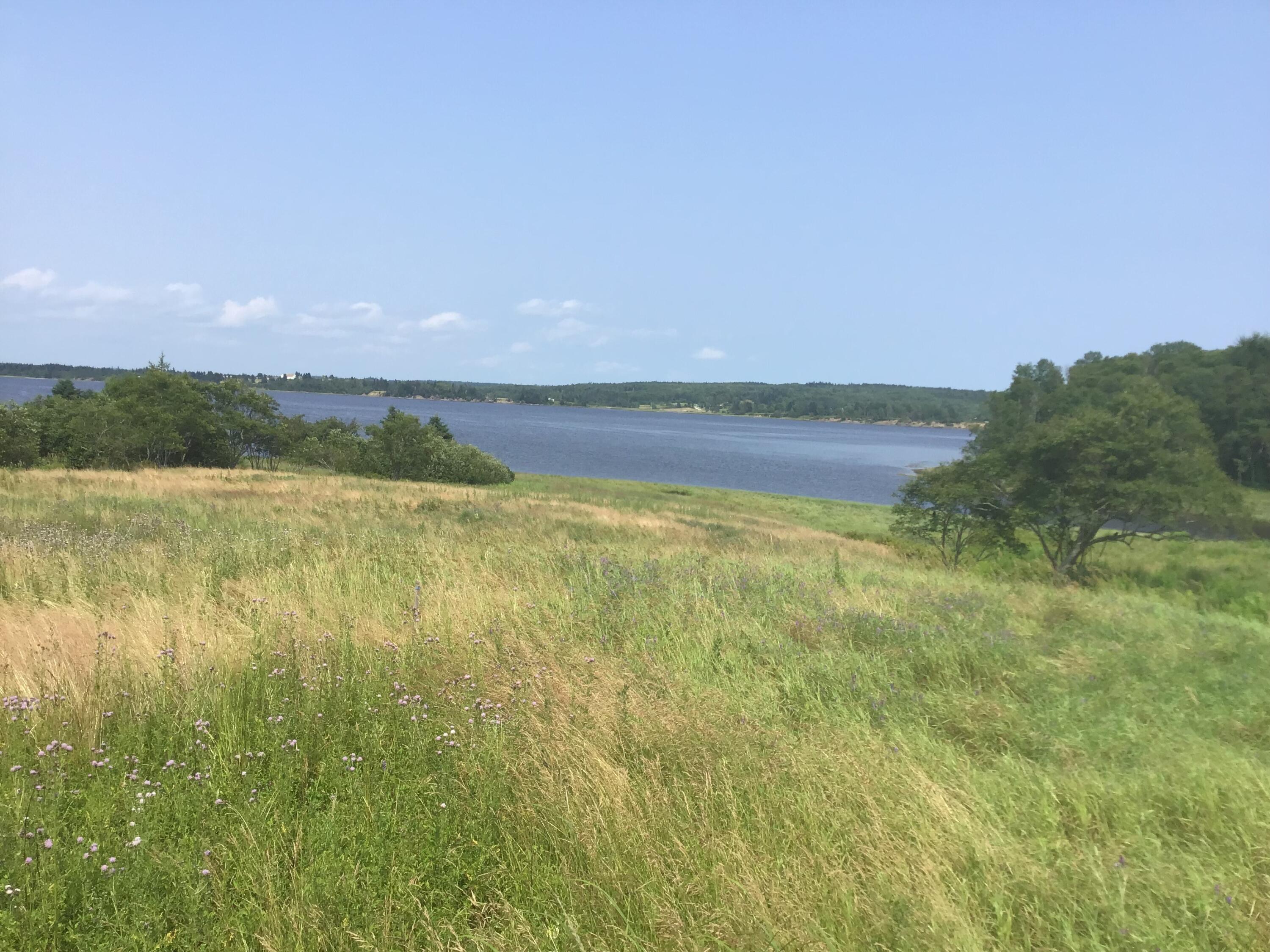 Lot 11 West Side Road, Addison, ME 04606 | 1565814 | Realty of Maine