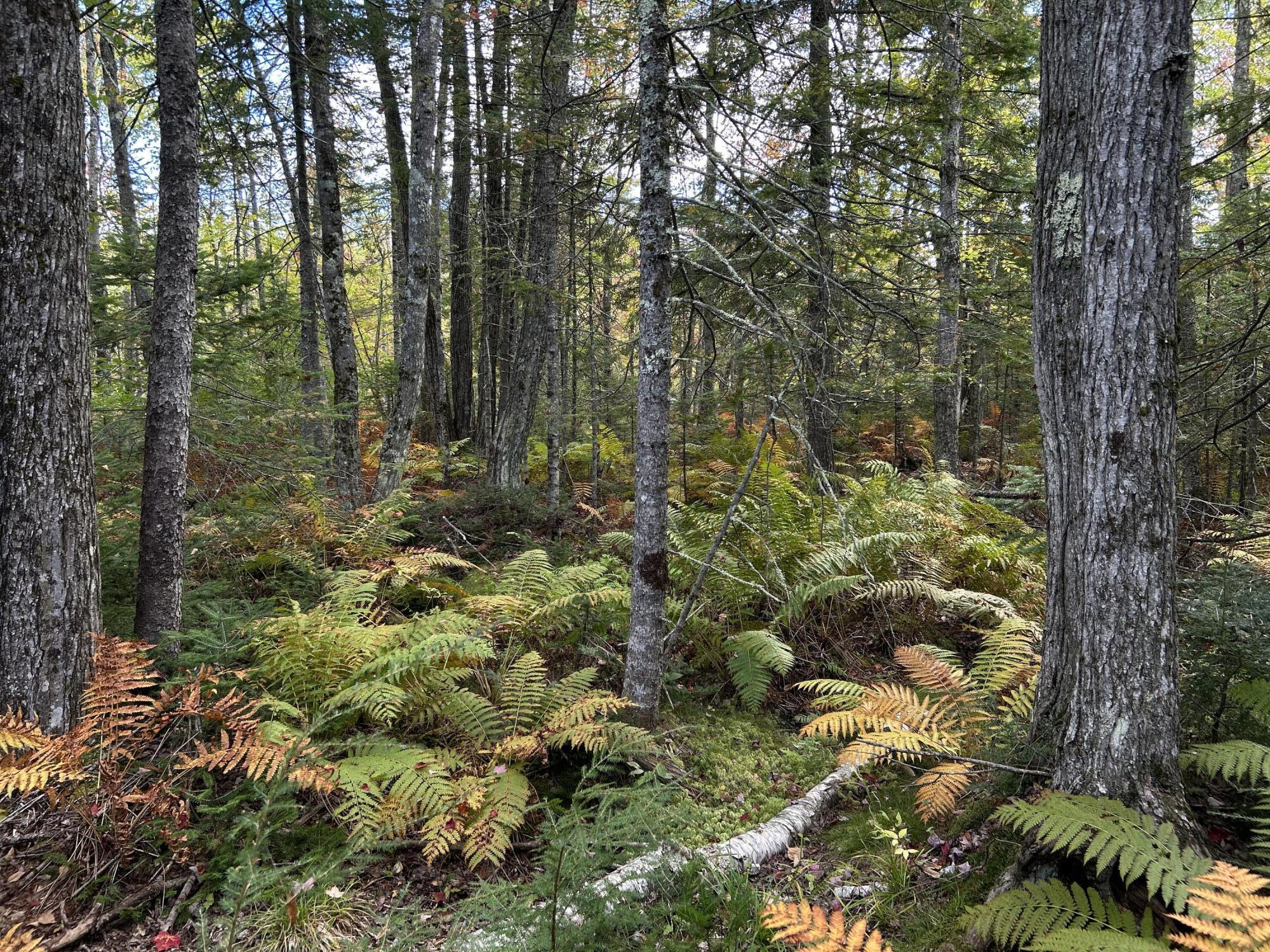 Map4lot17 Village Road Jackson, ME