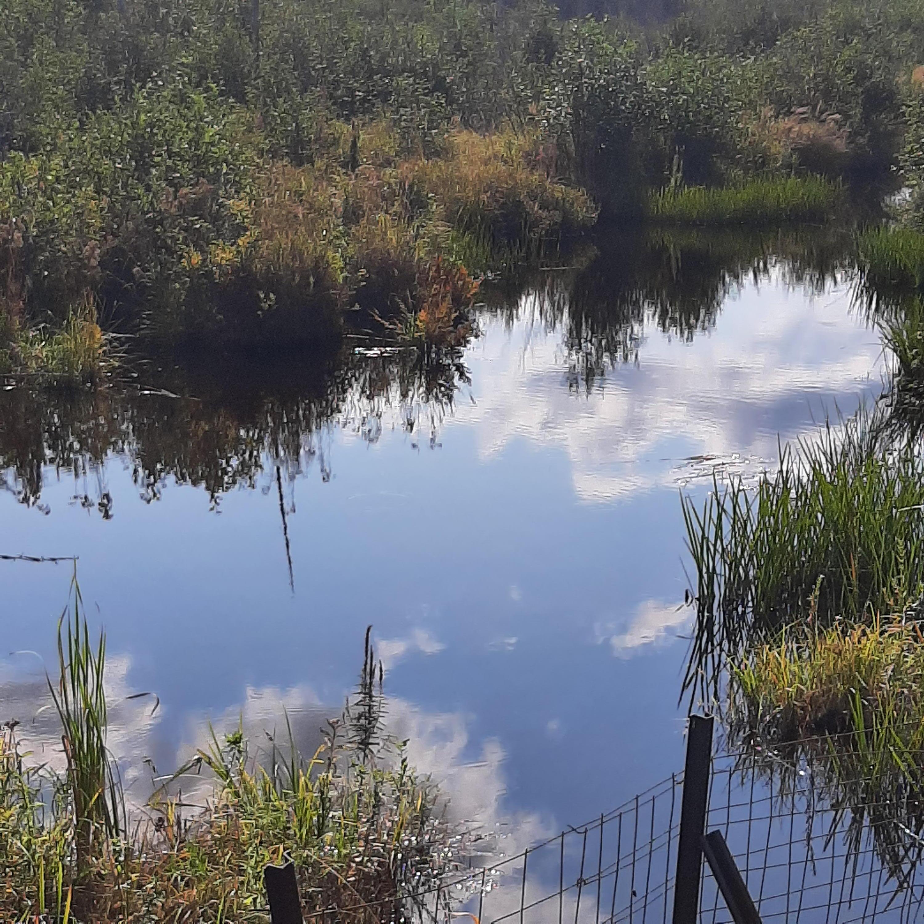 10/11 Grindstone Road / Route 11 Road, Stacyville, ME 04777 | 1542861 ...