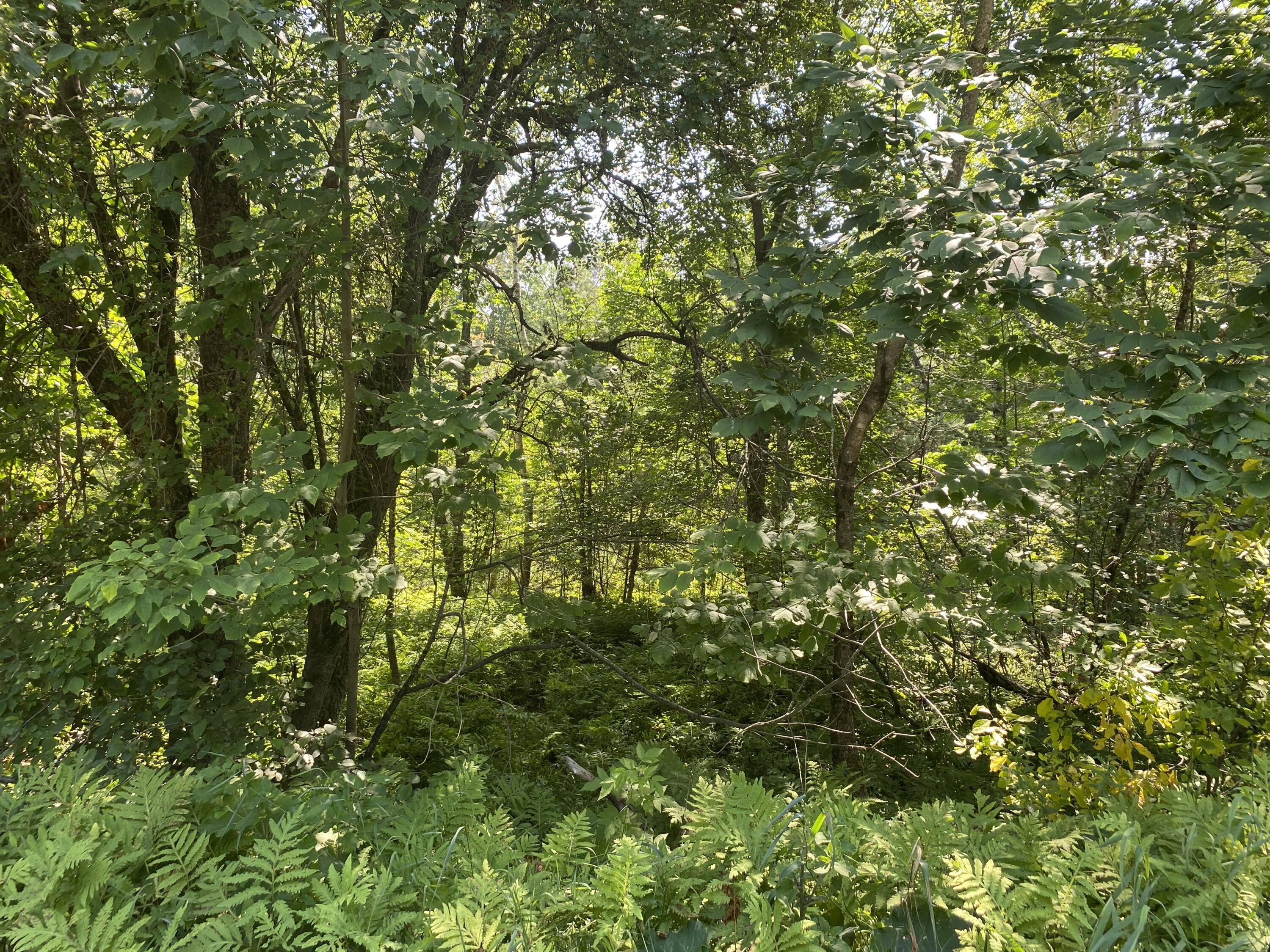 Map1lot25 Taylor Road Athens, ME