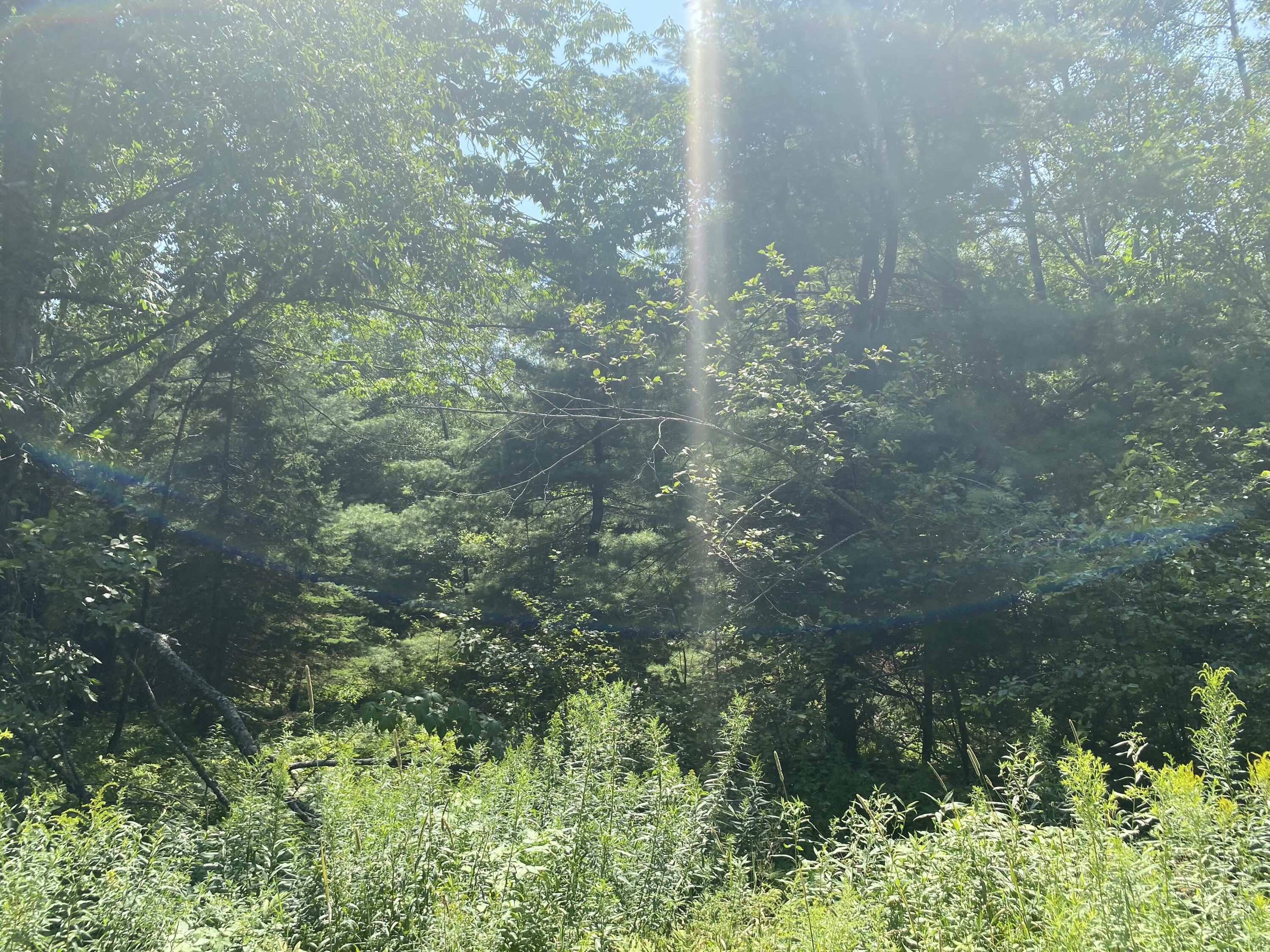 Map1lot25 Taylor Road Athens, ME Real Estate | MLS # 1632165