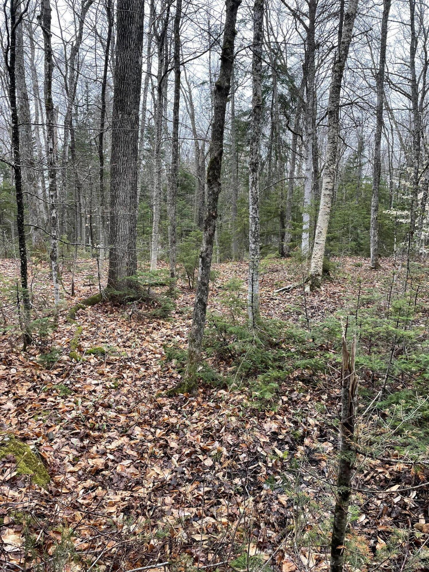 9 Heald Pond Road Moose River, ME