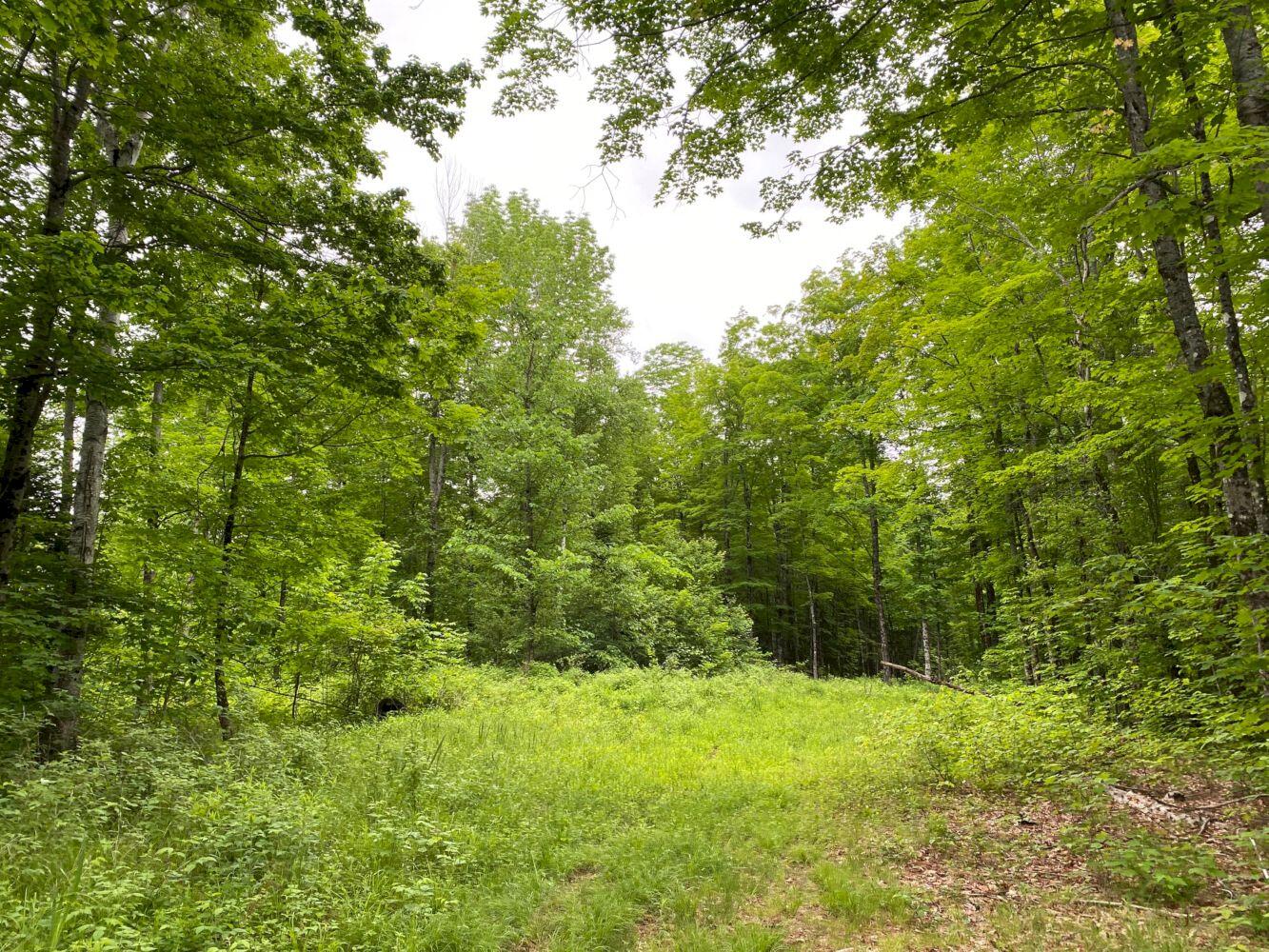 M5 L11 Mcguire Road Mercer, ME