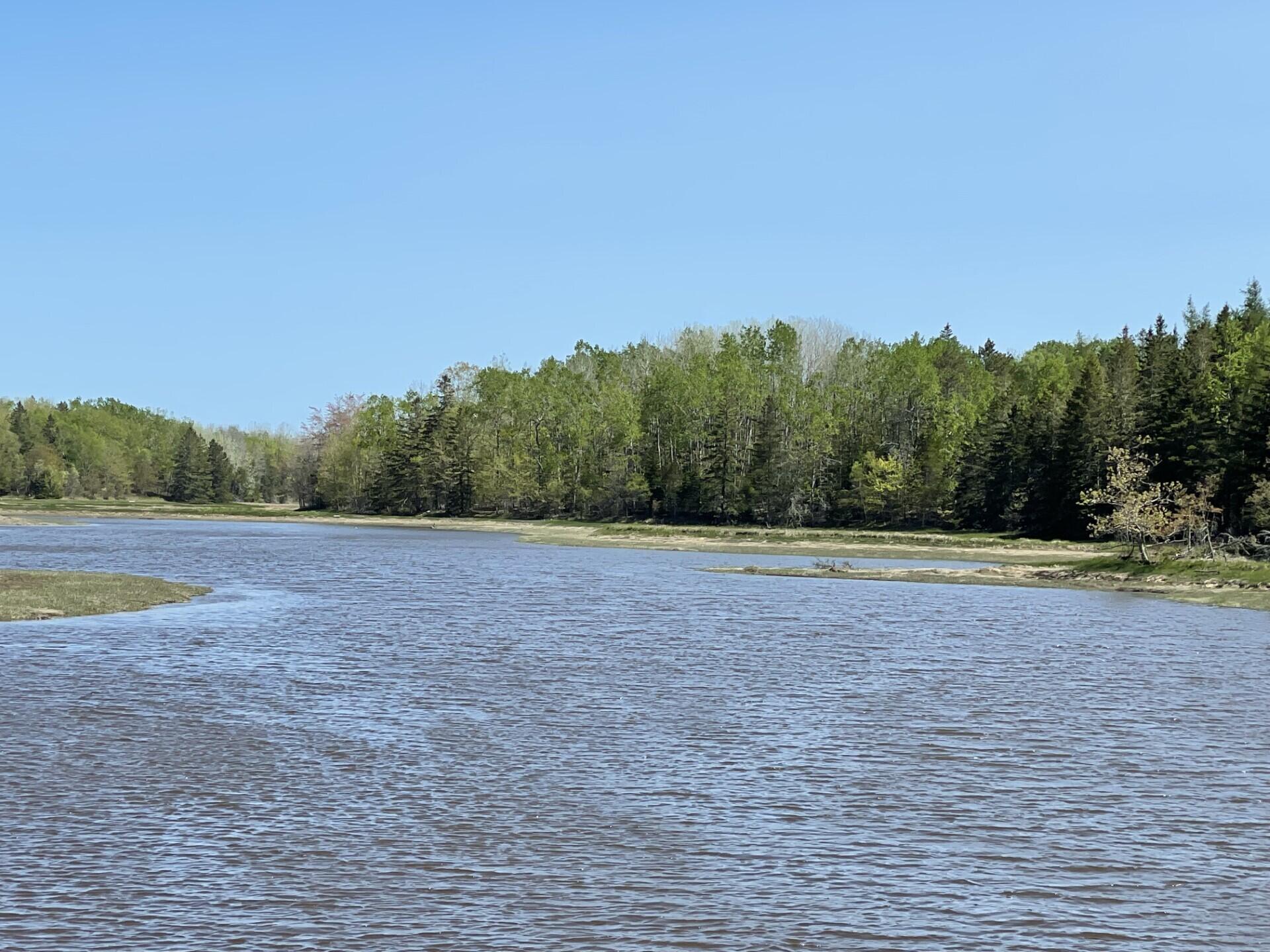 Lot 175 Poplar Lane, Milbridge, ME 04658 | 1559845 | Realty of Maine