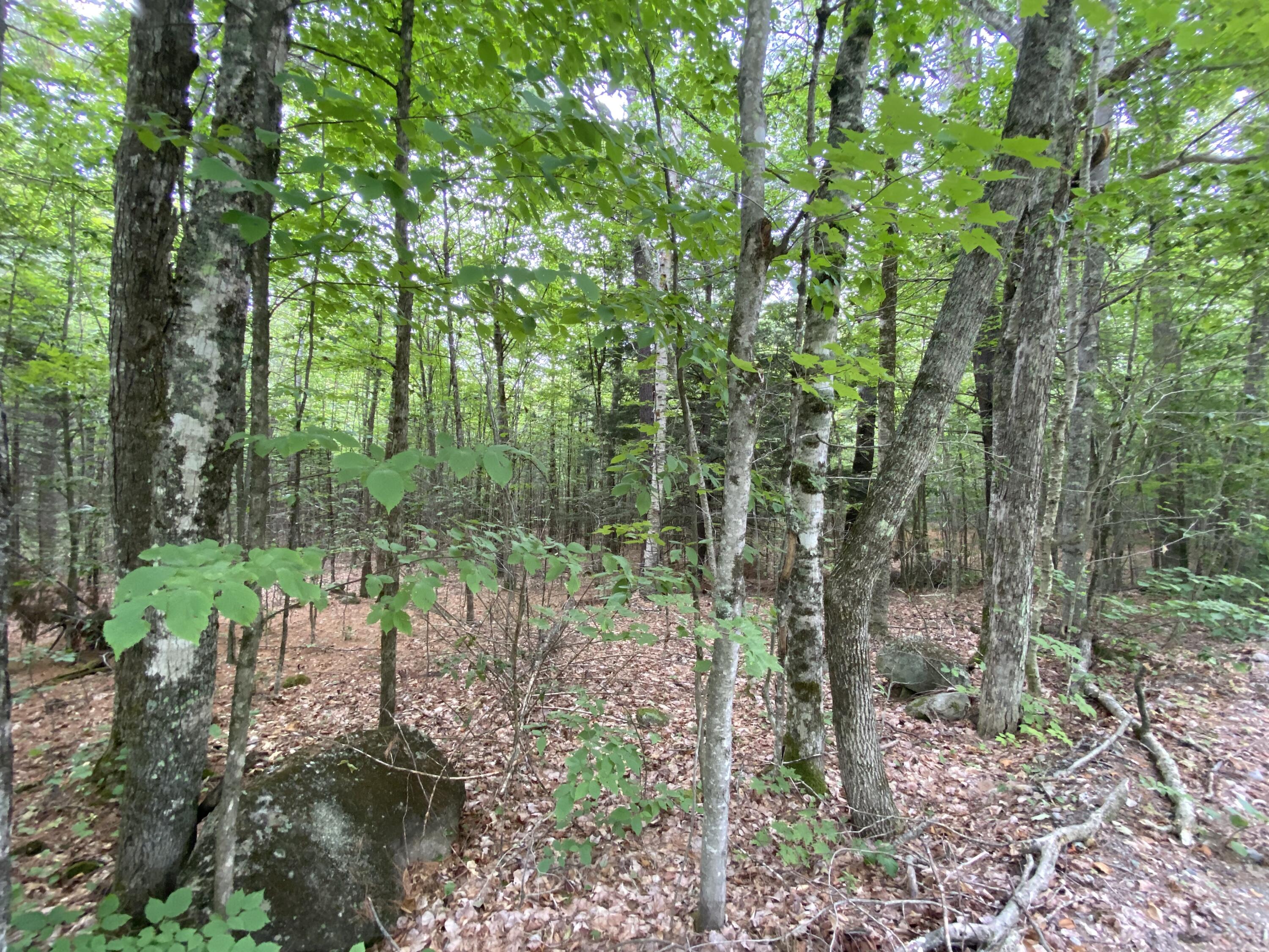 Map1lot26 Daggett Hill, Athens, ME 04912 | 1631877 | Plourde Real Estate