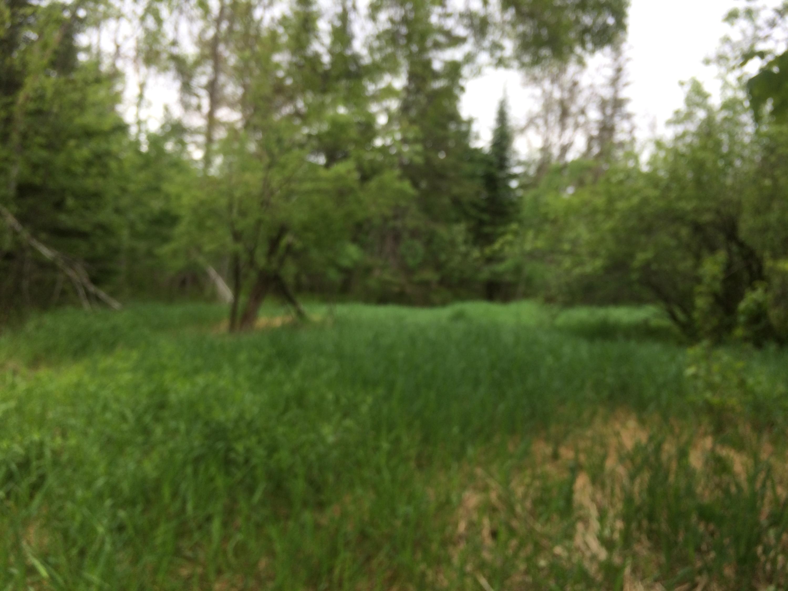 0 Route 150, Parkman, ME 04443 | 1454195 | Realty of Maine