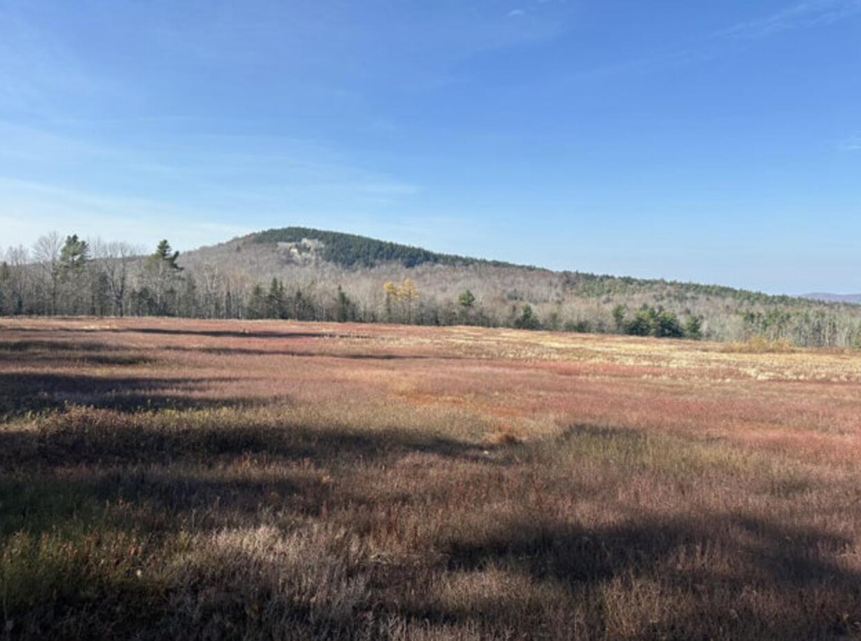 Map1lot22 Bald Mountain Road, Dedham, ME 04429 | 1630276 | Realty of Maine