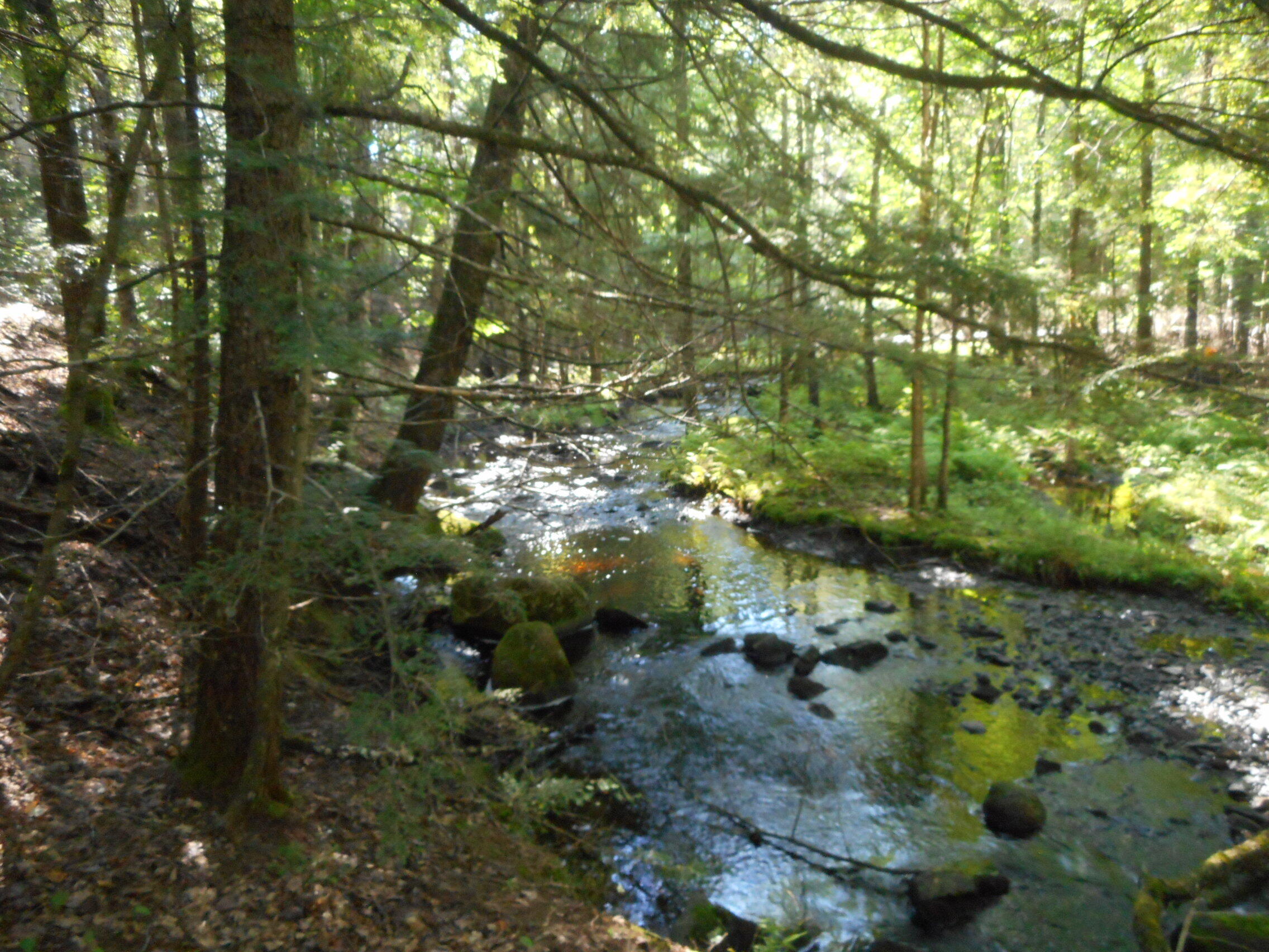 M10, L9 North Road, Lee, ME 04455 | 1540659 | Realty of Maine