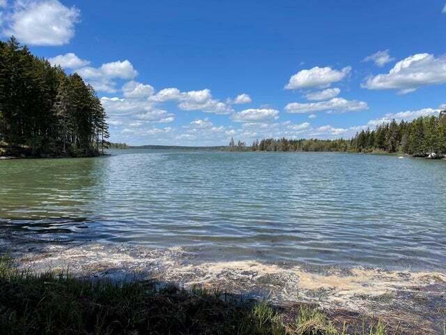 0 Cape Split Road, Addison, ME 04606 | 1566994 | Realty of Maine