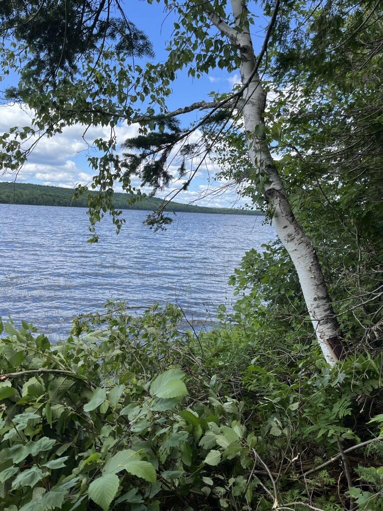 Lot 40 Woodland Ridge Road, Danforth, ME 04424 | 1567084 | Realty of Maine