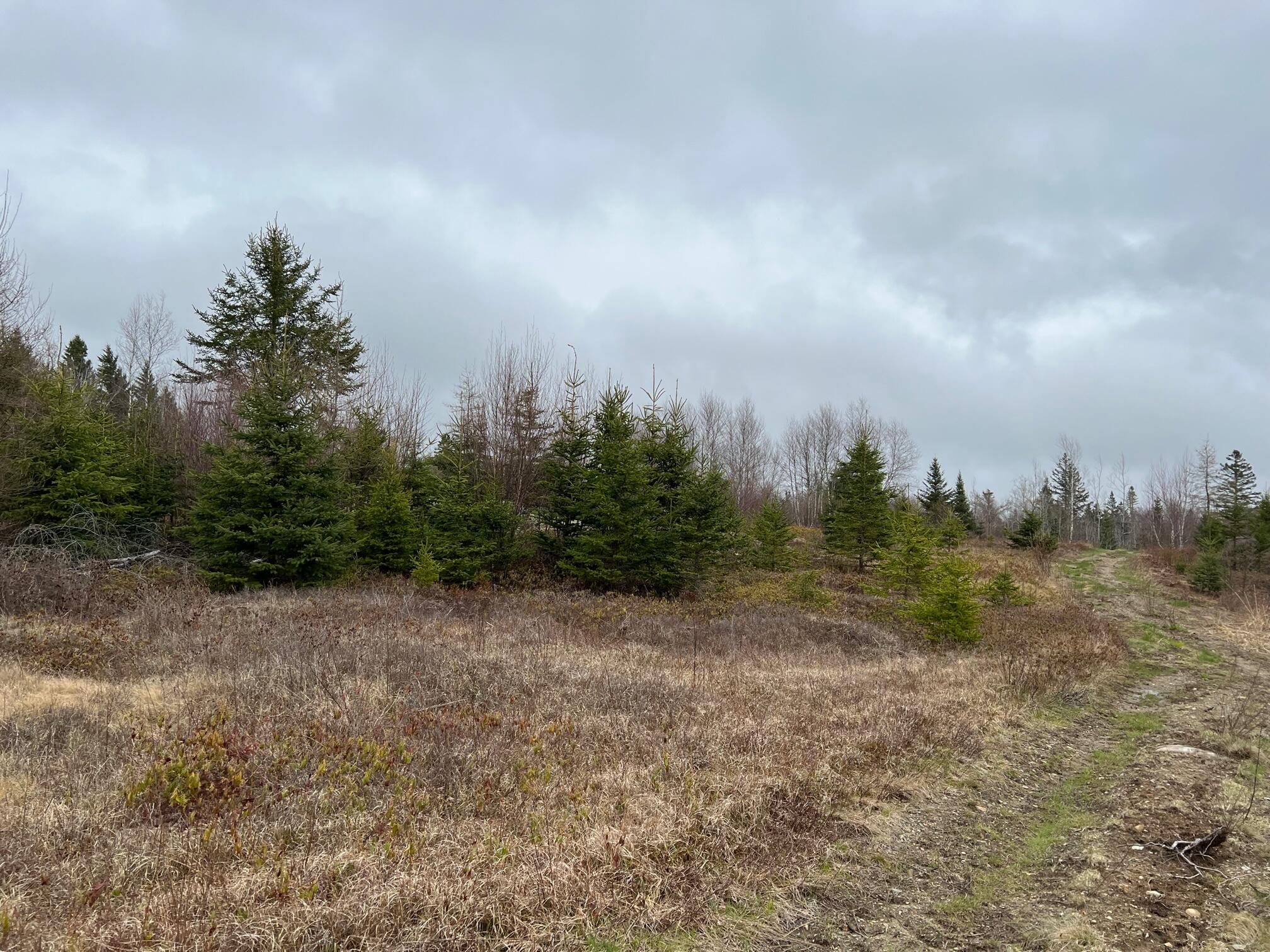 Lot 37a East Side Road Addison, ME