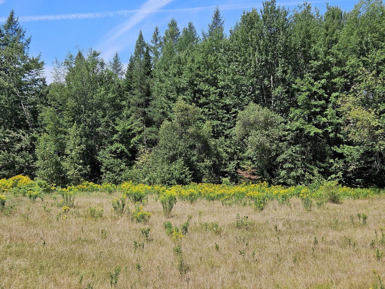 M2 L7-4 Barron Road, Embden, ME 04958 | [Brand Name]