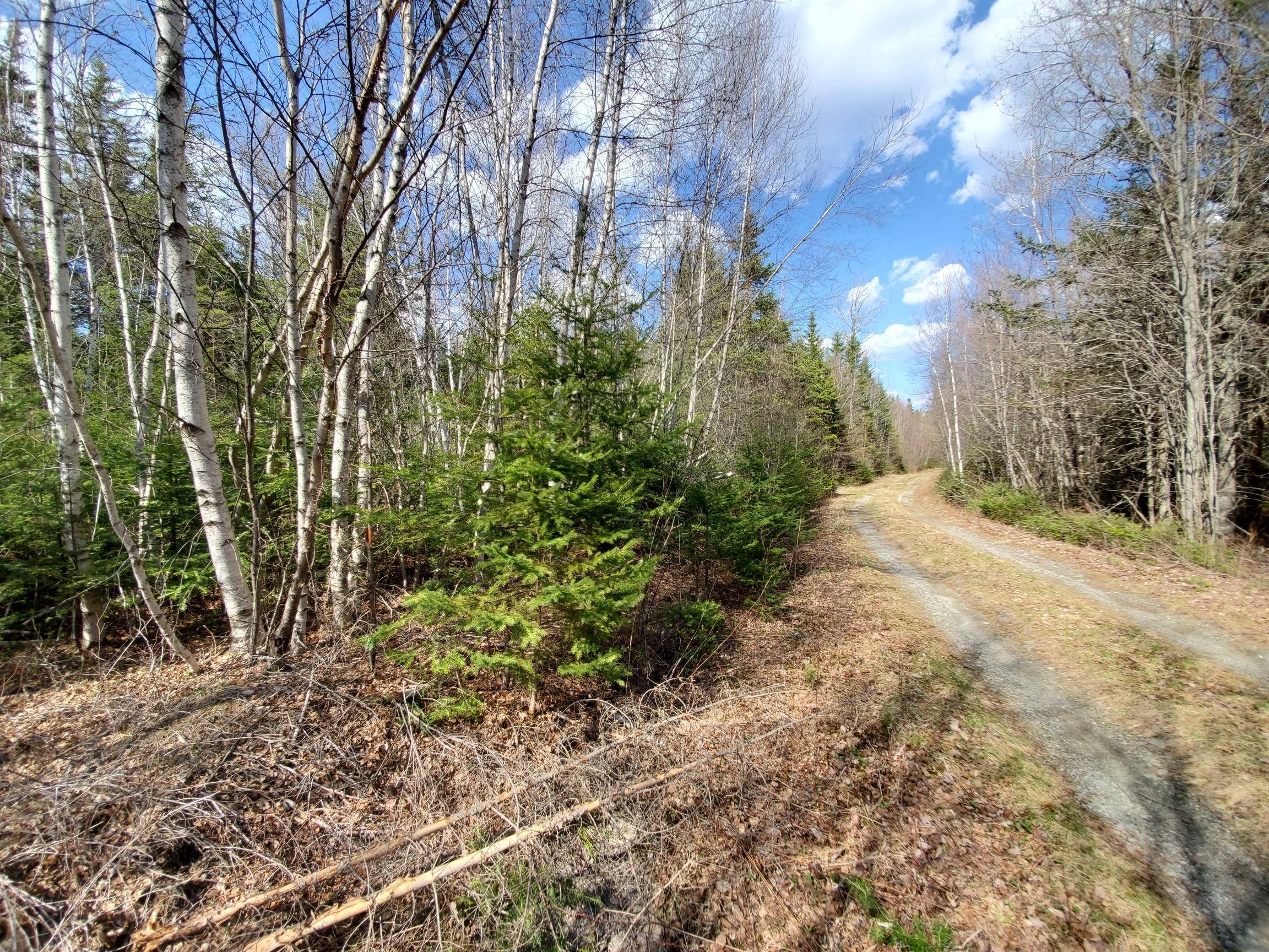 Lot 5 Scott Brook Northfield, ME