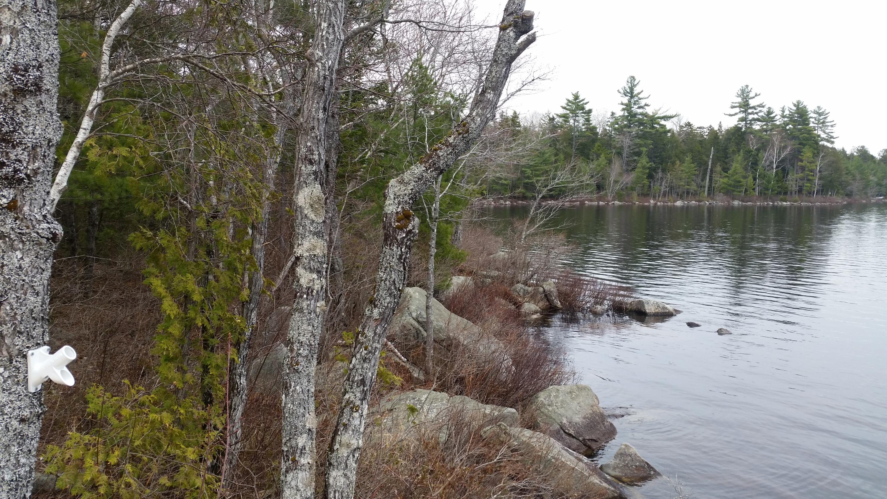 265 E Shore Road, Burlington, ME 04417 | 1451219 | Realty of Maine