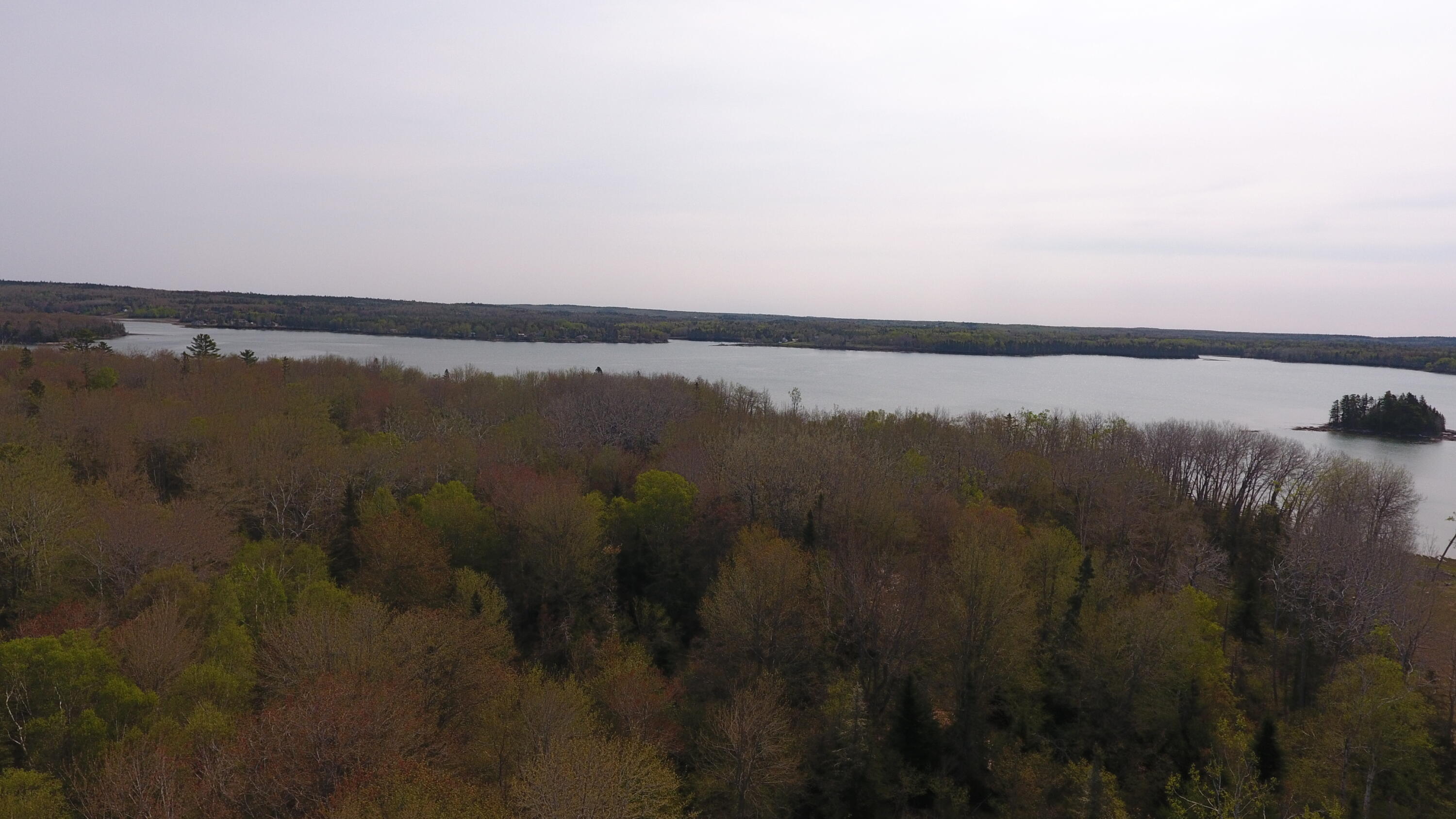 Lot 17 Pineo Point Road, Harrington, ME 04643 | 1559074 | Realty of Maine