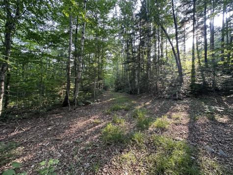M08 Lot 32 Main Street Sandy River Plt, ME