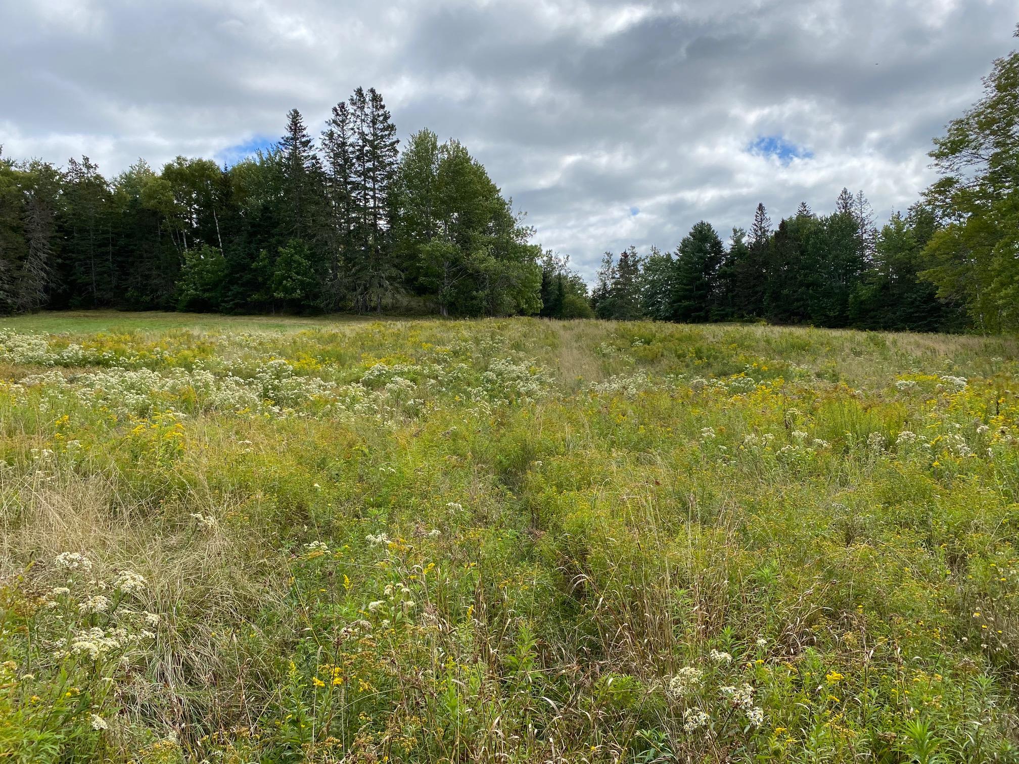 509 Us Route 1 Pembroke, ME