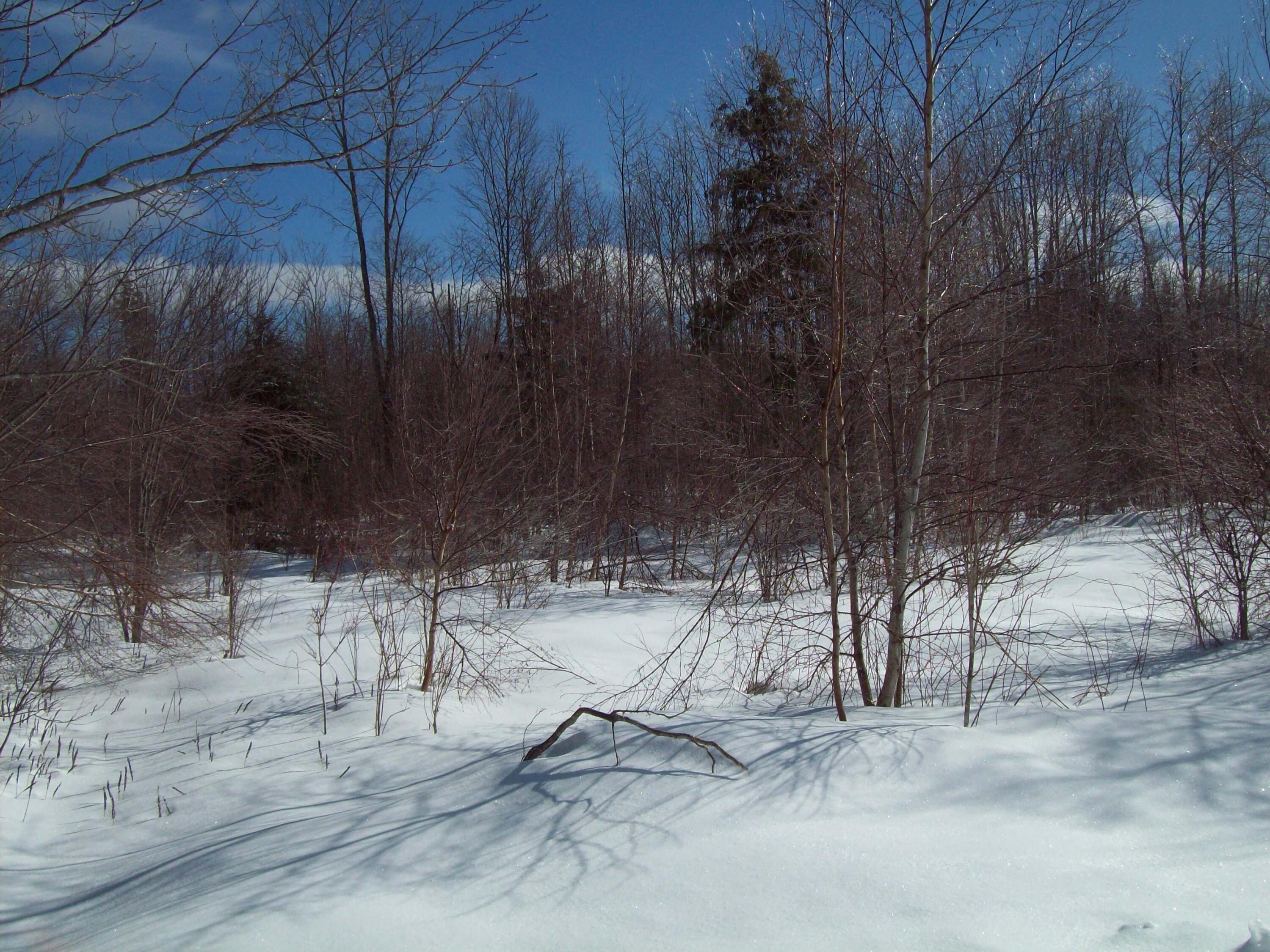 Tbd Rosewood Drive, Prentiss Twp T7 R3 Nbpp, ME 04487 | 1552736 ...