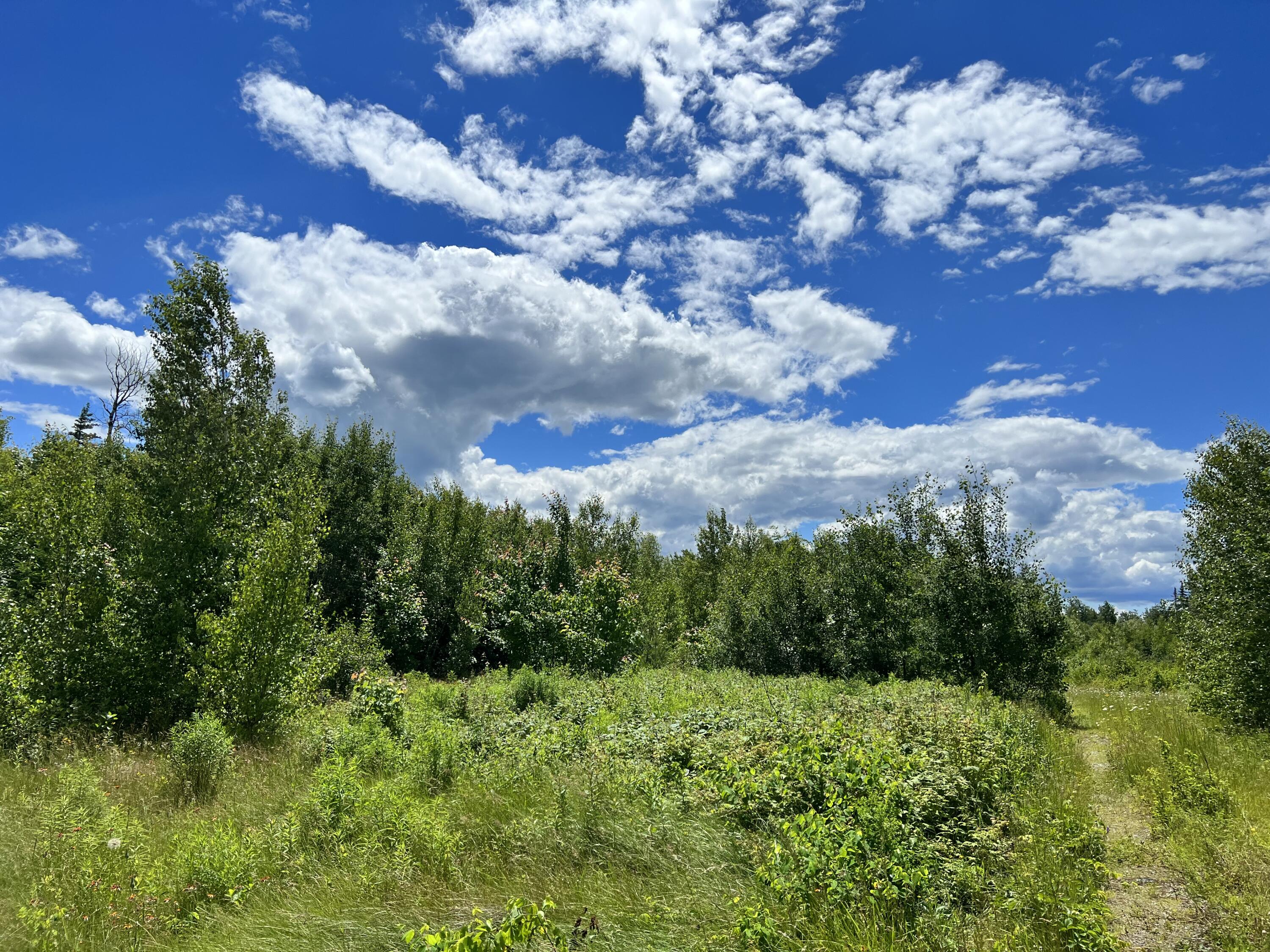 00 Us Route One Waite, ME