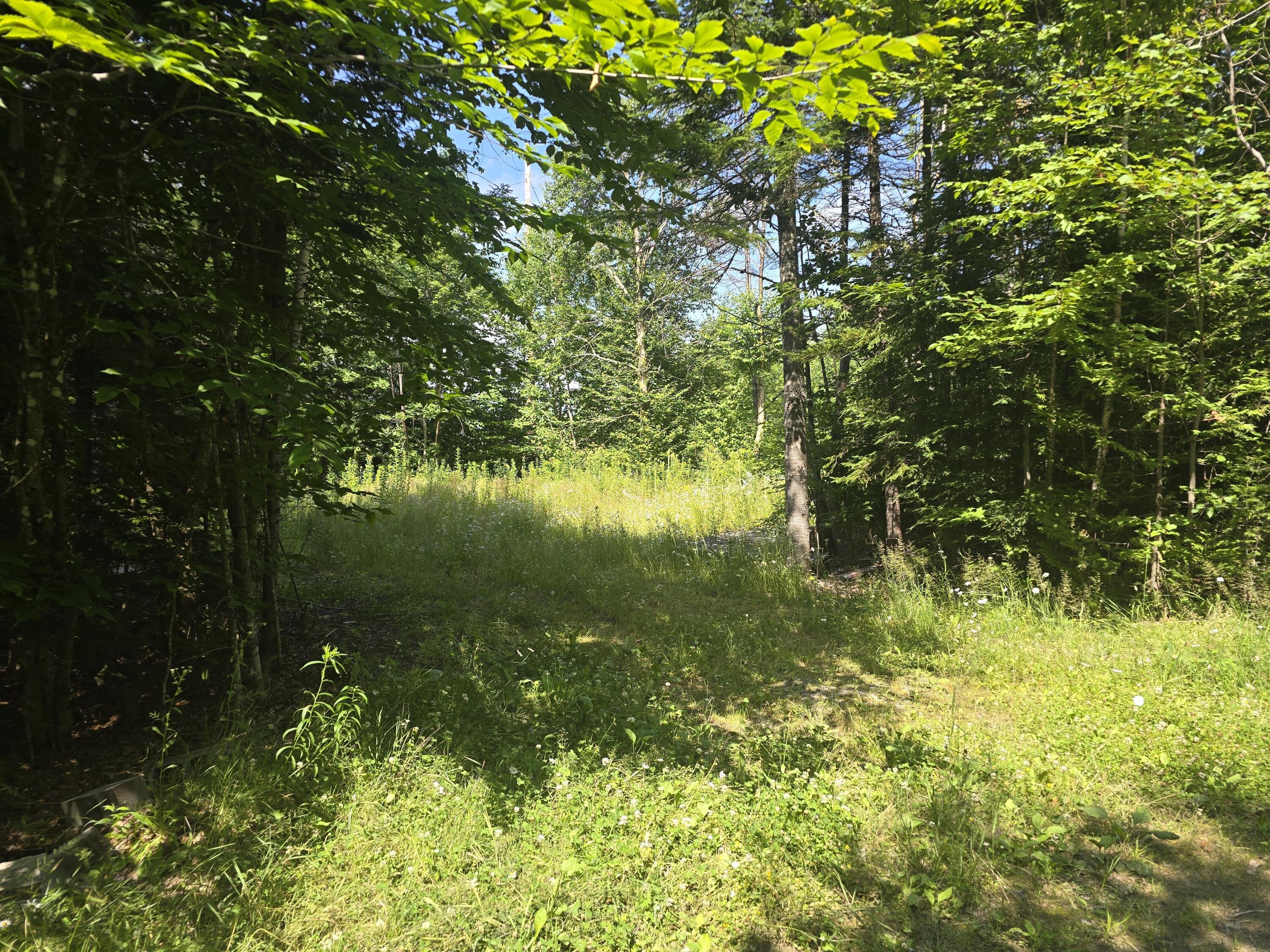 Lot 36-3 Partridge Lane, Linneus, ME 04730 | 1630952 | Realty of Maine