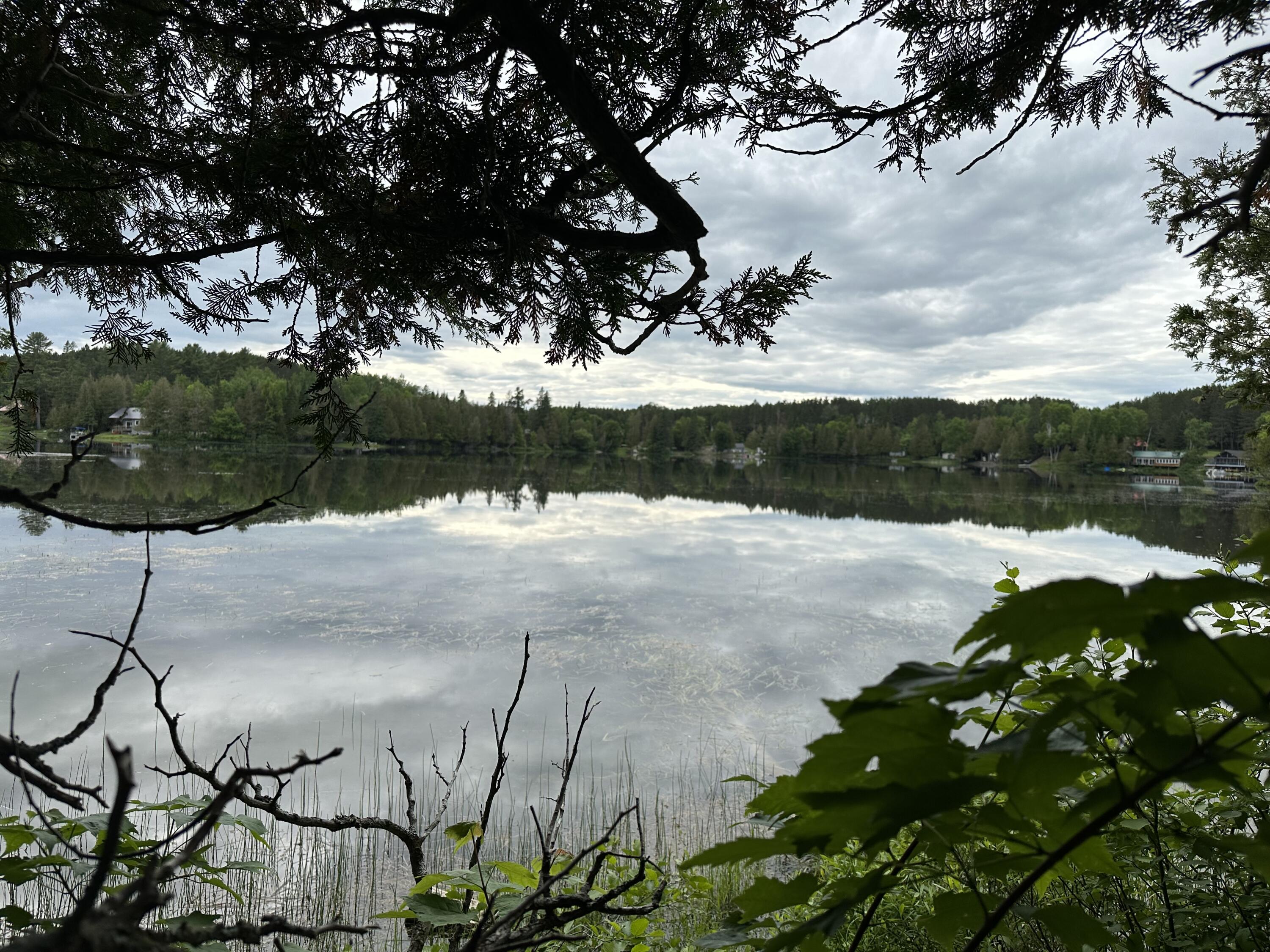 105 E Conroy Lake Road, Monticello, ME 04760 | 1556497 | Realty of Maine