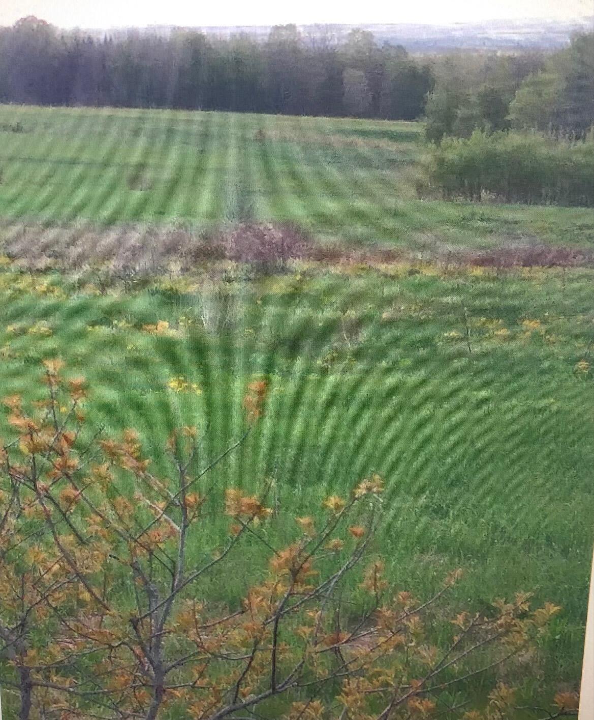 43c Pine Tree Road, Crystal, ME 04747 | 1550995 | Realty of Maine