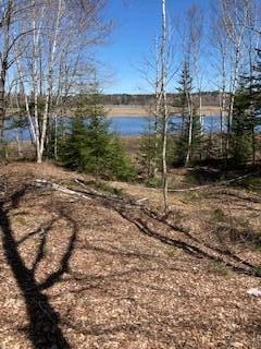 120 Wescogus Road, Addison, ME 04606 | 1526819 | Realty of Maine