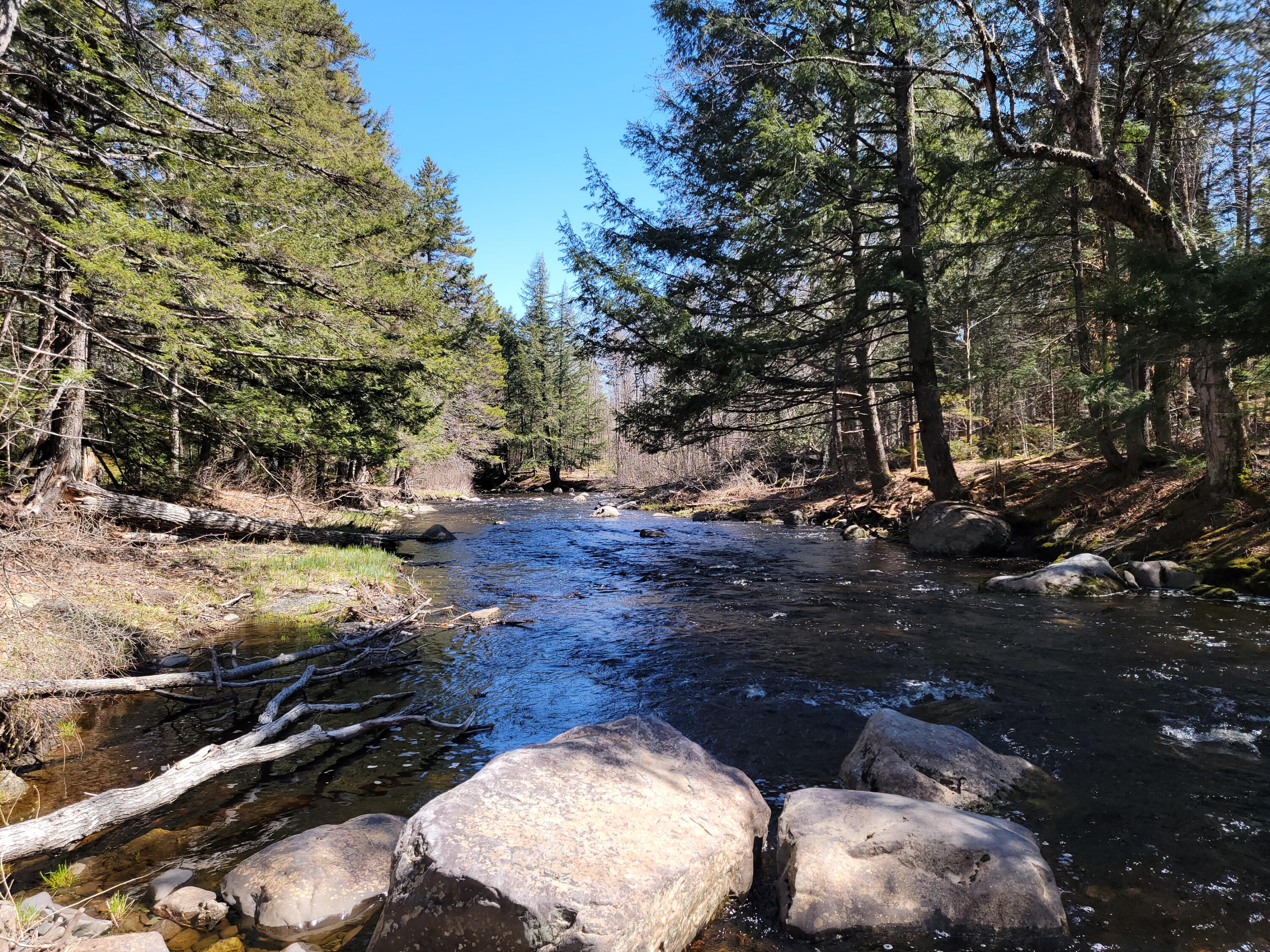 00 Bowerbank Road, Sebec, ME 04481 | 1558930 | Realty of Maine