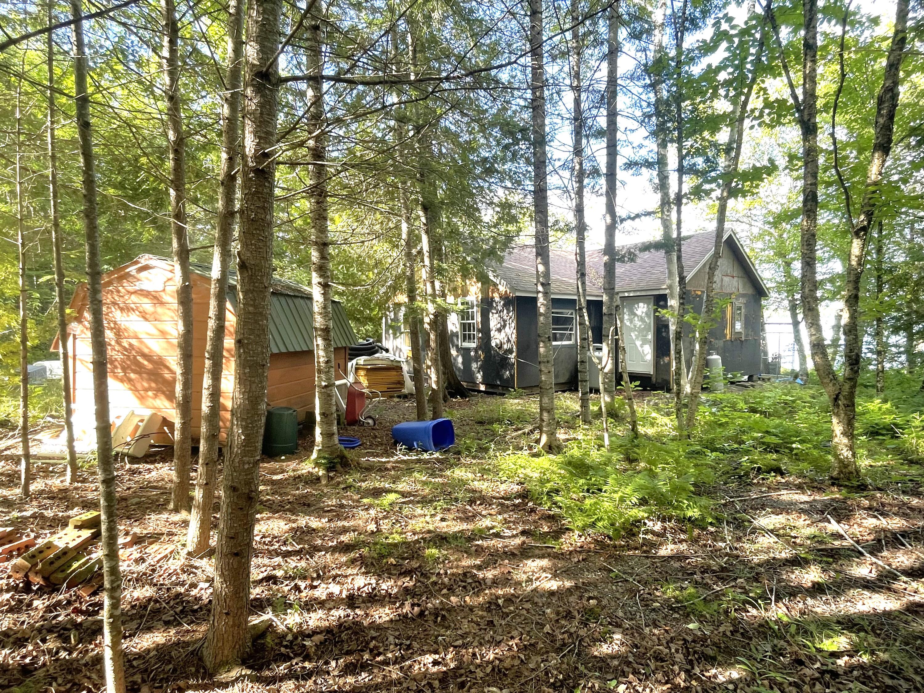 81 Randall Drive, Weston, ME 04424 | 1542110 | Realty of Maine