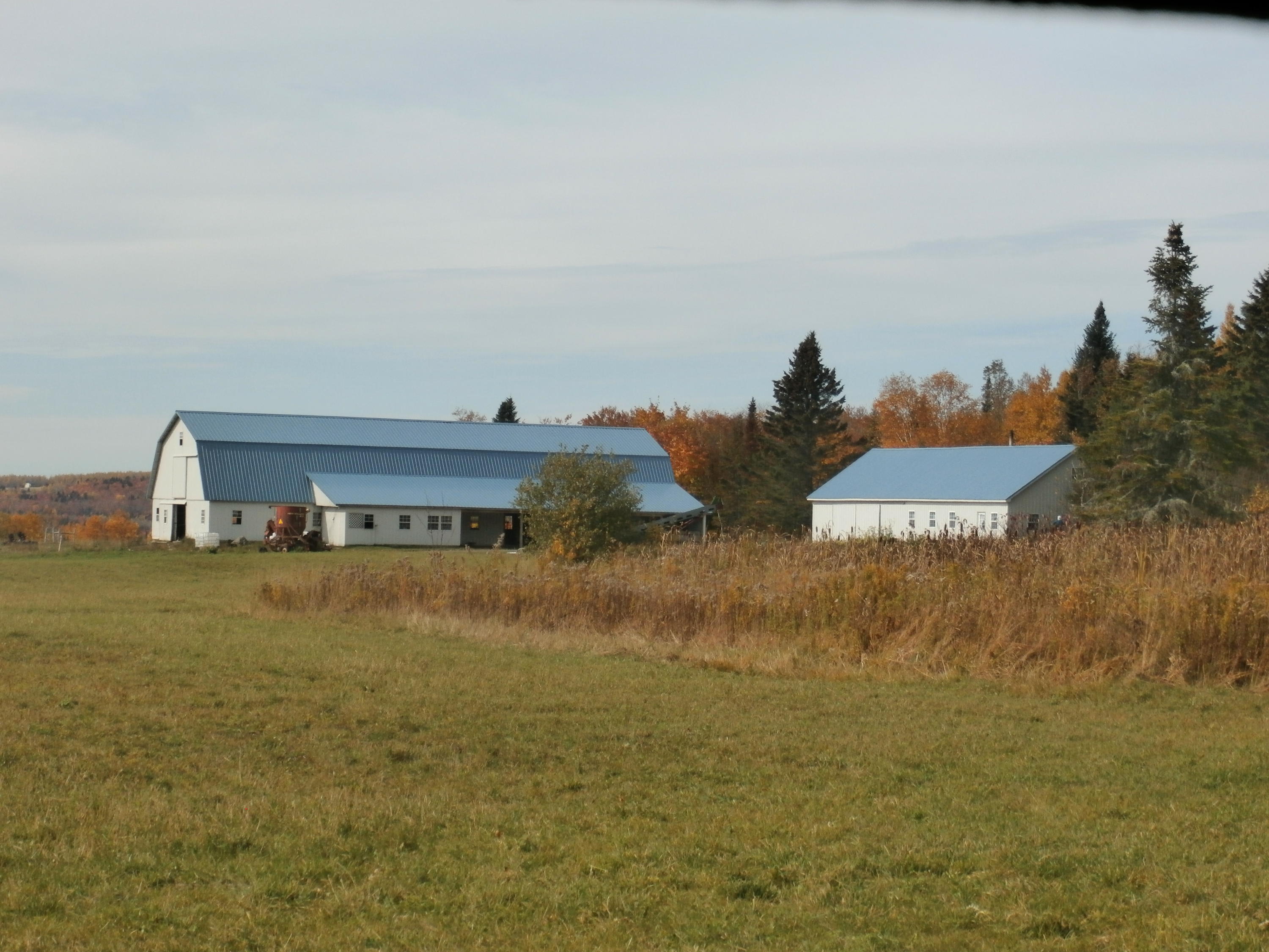 1202 Perham Road, Perham, ME 04766 | 1436483 | Realty of Maine