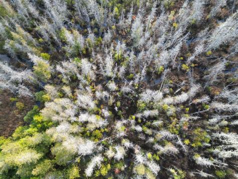 22 Sugarbush Lane, Lee, ME 04455 | 1641742 | Meservier & Associates