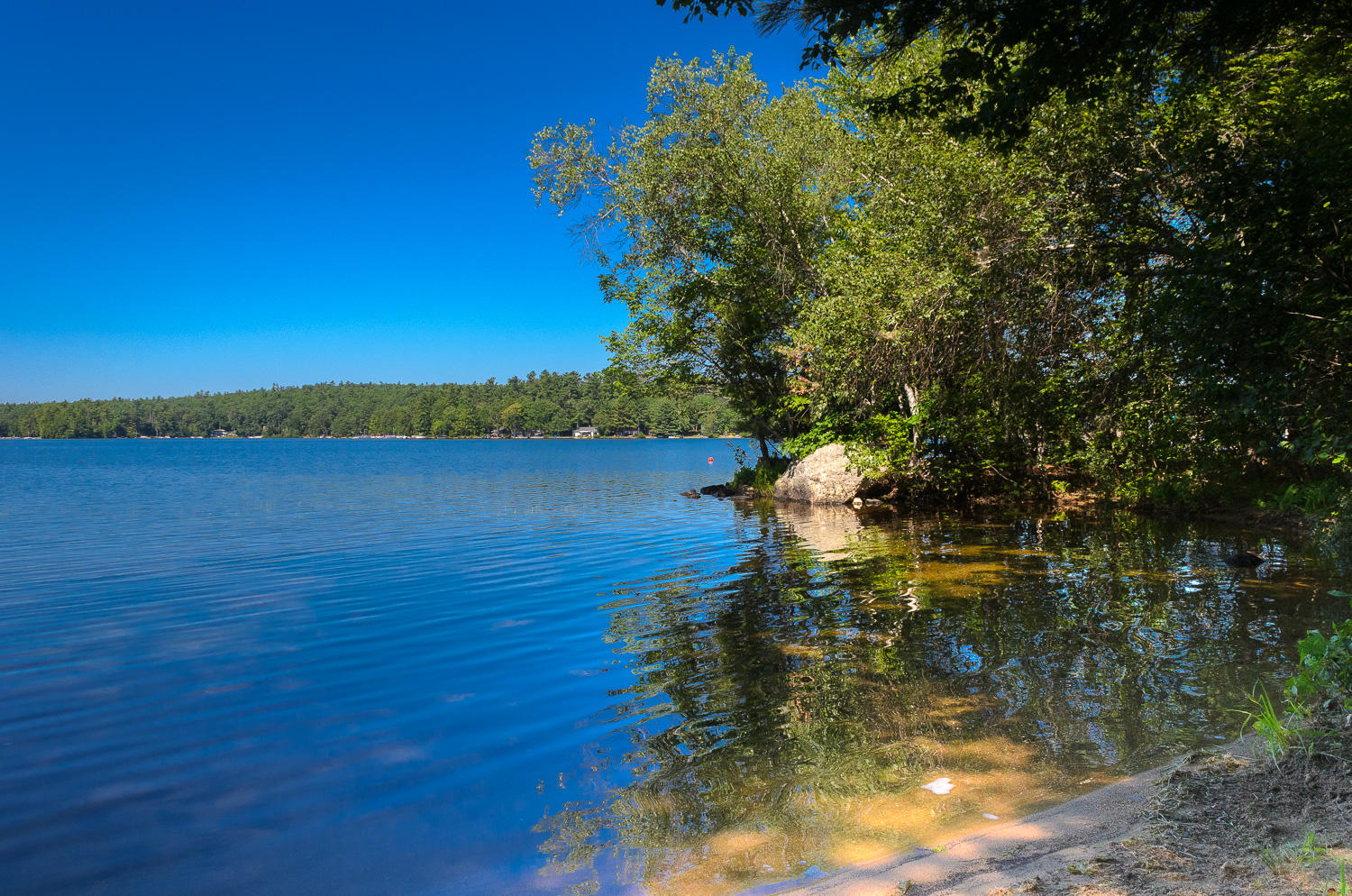 17 Grape Island Trail, Gray, ME 04039 | 1462522 | Sunset Lakes Real Estate
